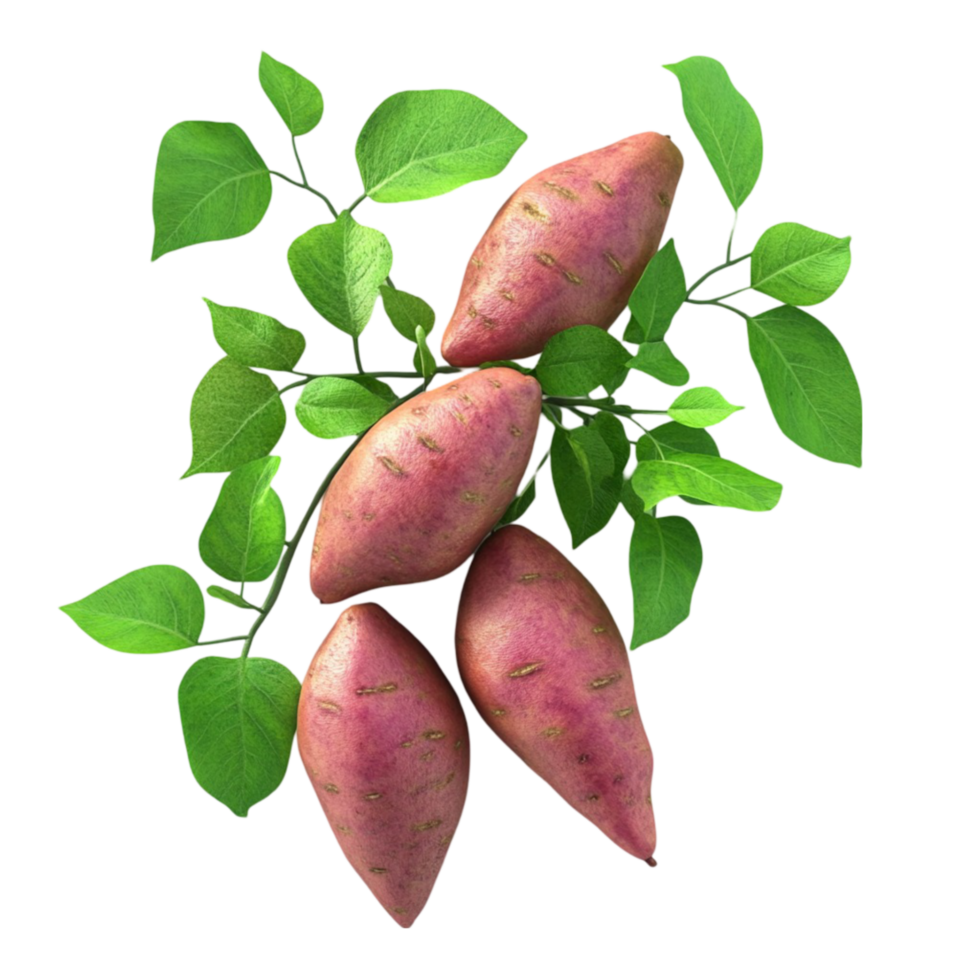Sweet Potato Vine Ai Generative 49515967 Png