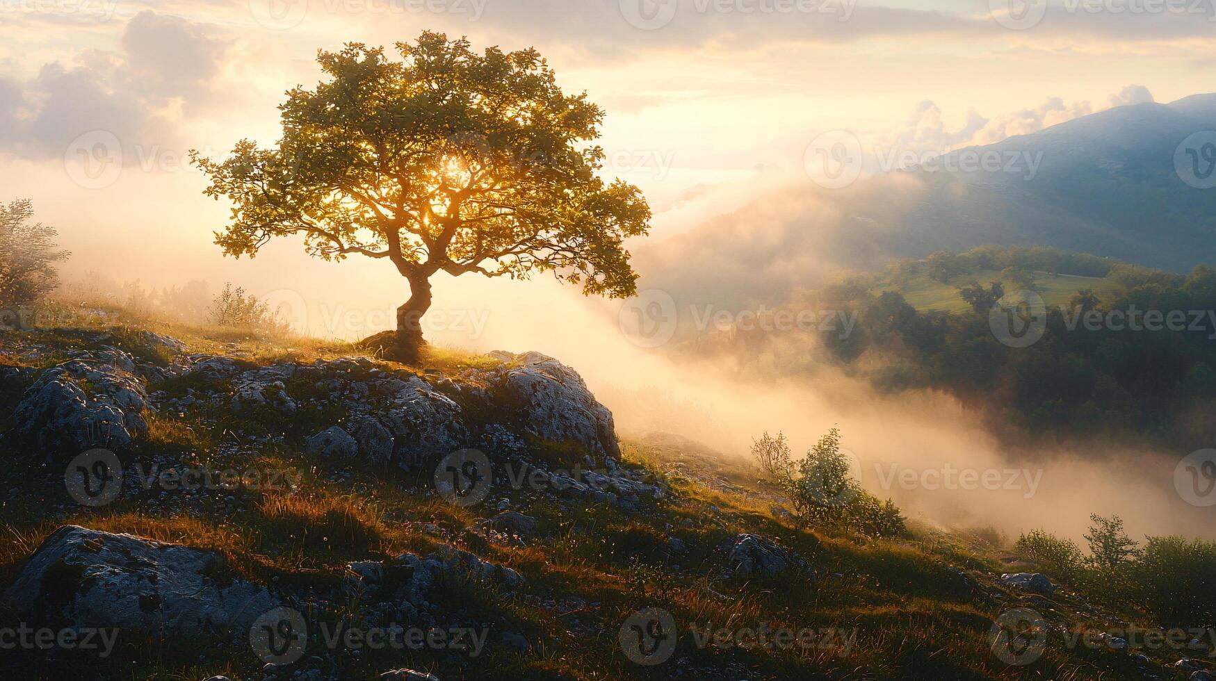 Stunning High-Resolution Nature and Landscape Backgrounds. Breathtaking ...