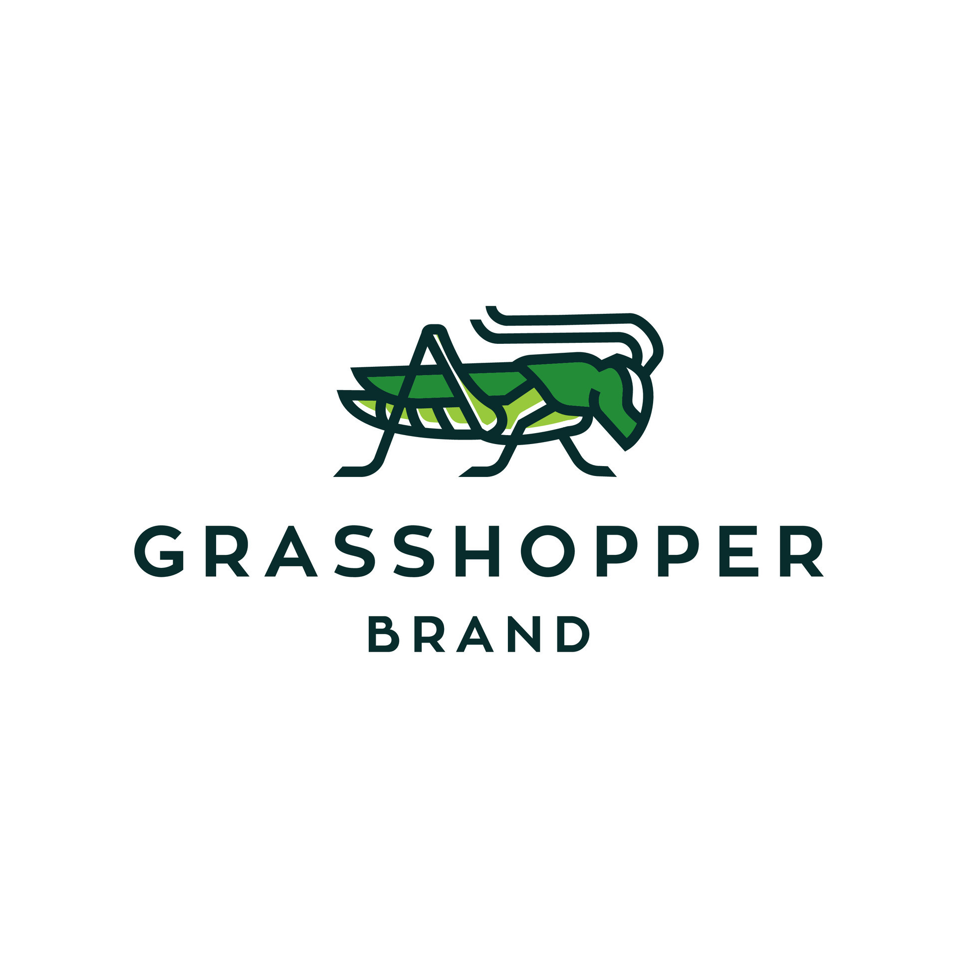 Grasshopper line icon. linear style sign for mobile concept and web ...
