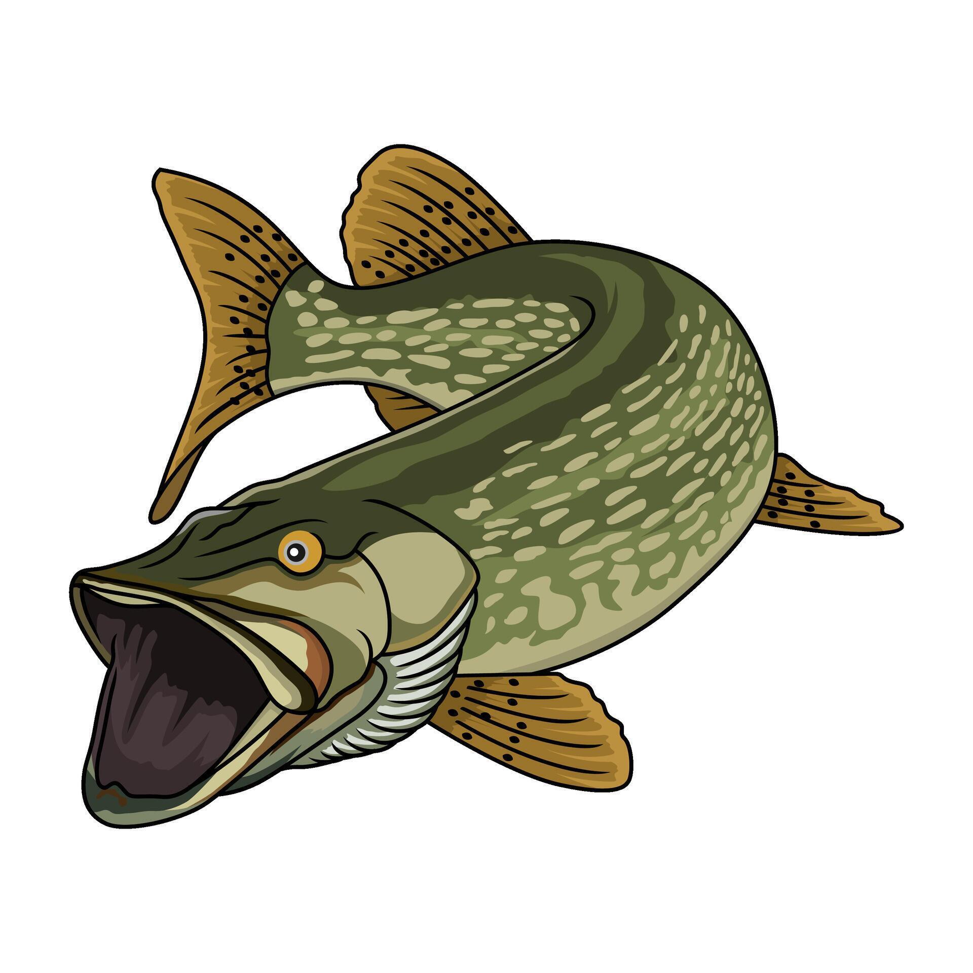 pike fishing illustration logo image template 49649880 Vector Art at ...