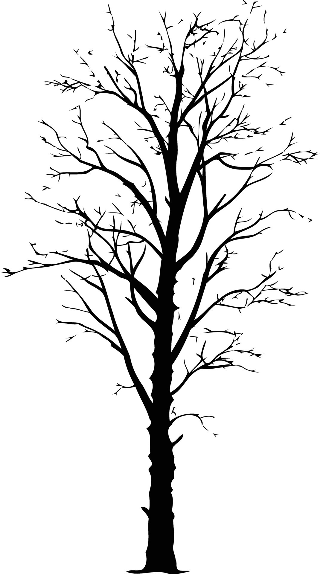 Simple, elegant silhouette of a bare tree, perfect for adding a touch ...