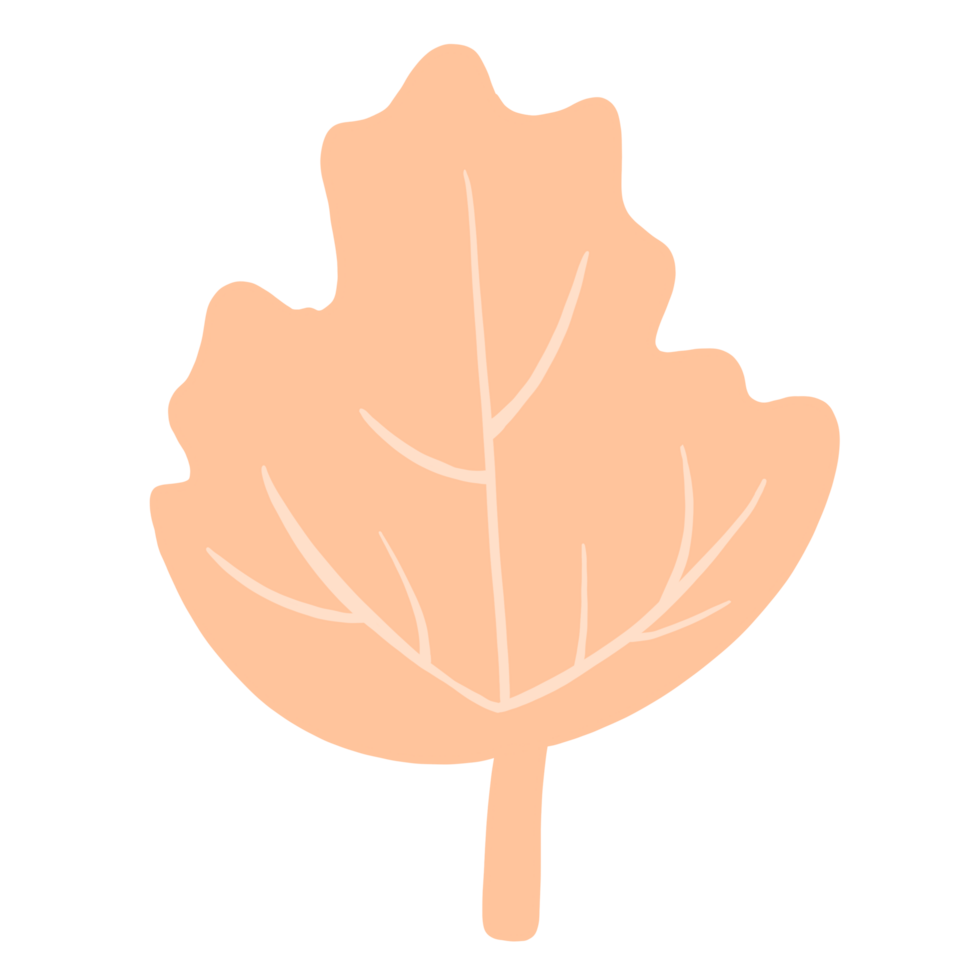 cute autumn leaf clip art 49767751 PNG