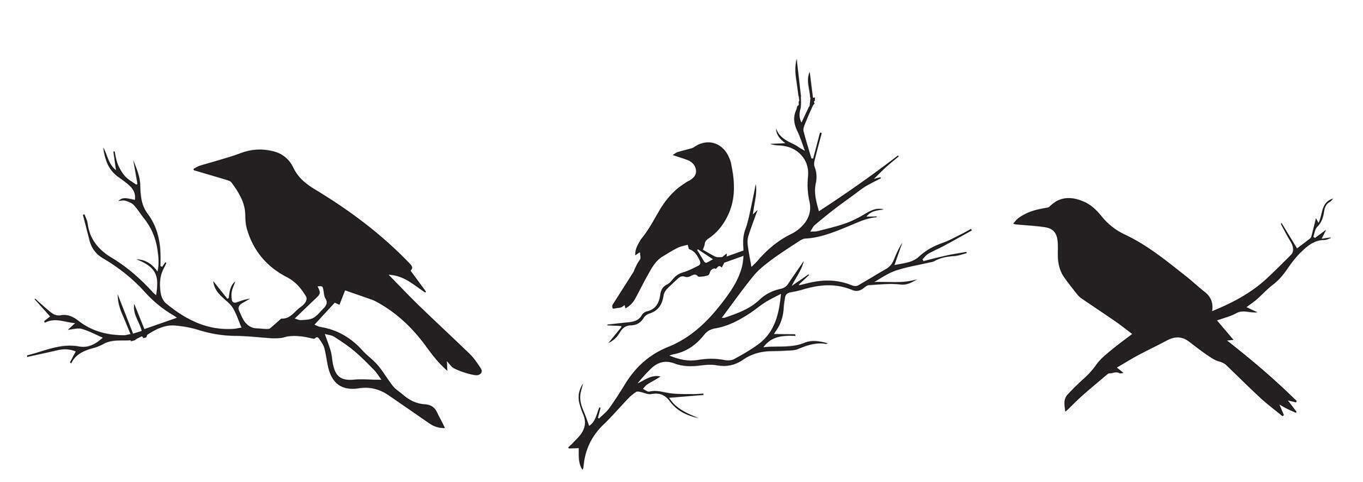 Silhouettes of three crows perched on bare branches in minimalist ... Silhouettes of three crows perched on bare branches in minimalist ...