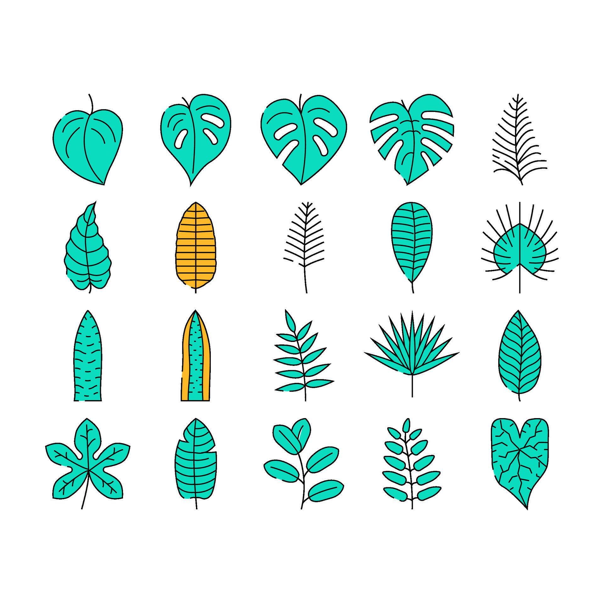 Leaf Tropical Plant Palm Jungle Icons Set 49817191 Vector Art At Vecteezy