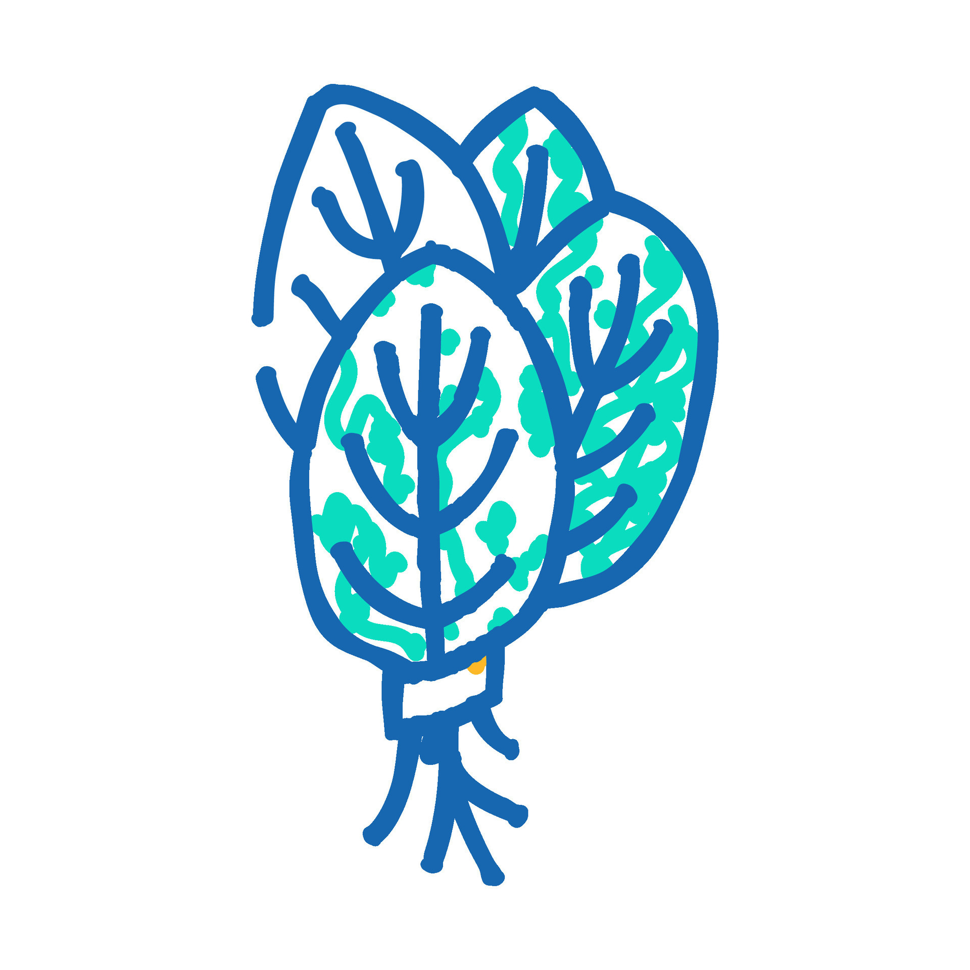 bunches spinach icon doodle illustration 49836649 Vector Art at Vecteezy bunches spinach icon doodle illustration 49836649 Vector Art at Vecteezy
