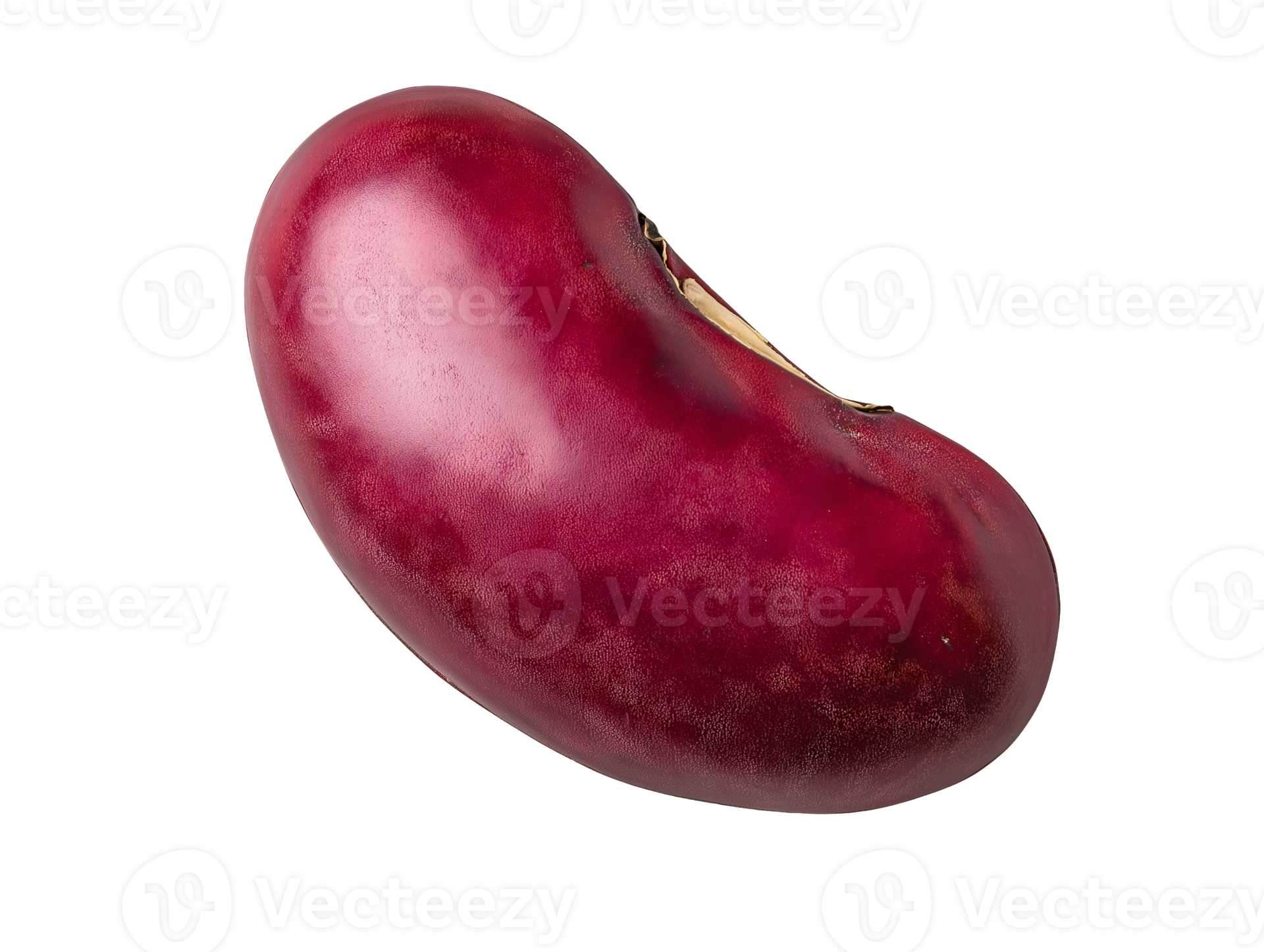 single red bean top view isolated background 49861880 PNG