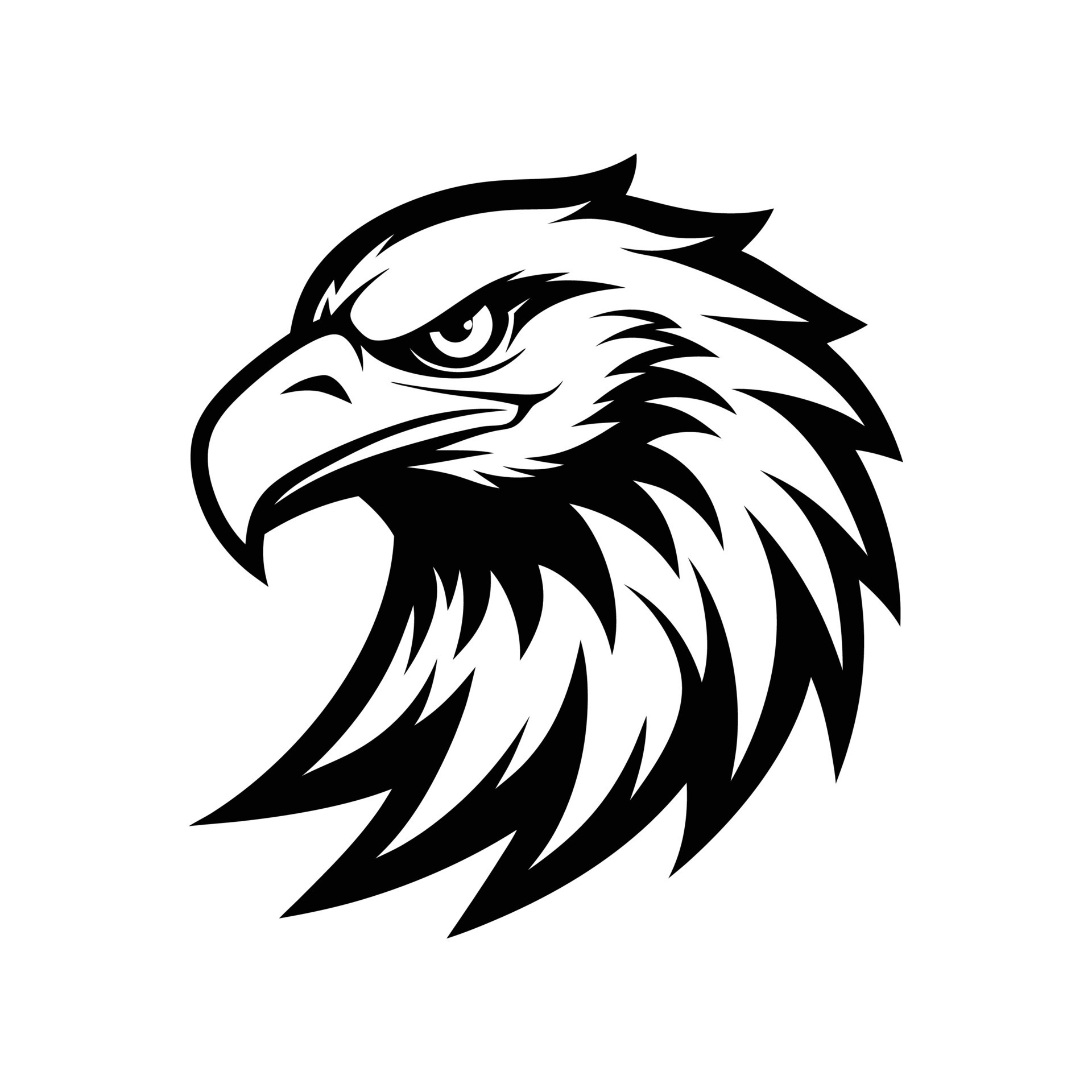 Bald Eagle, Soar with Pride 49884738 Vector Art at Vecteezy Bald Eagle, Soar with Pride 49884738 Vector Art at Vecteezy