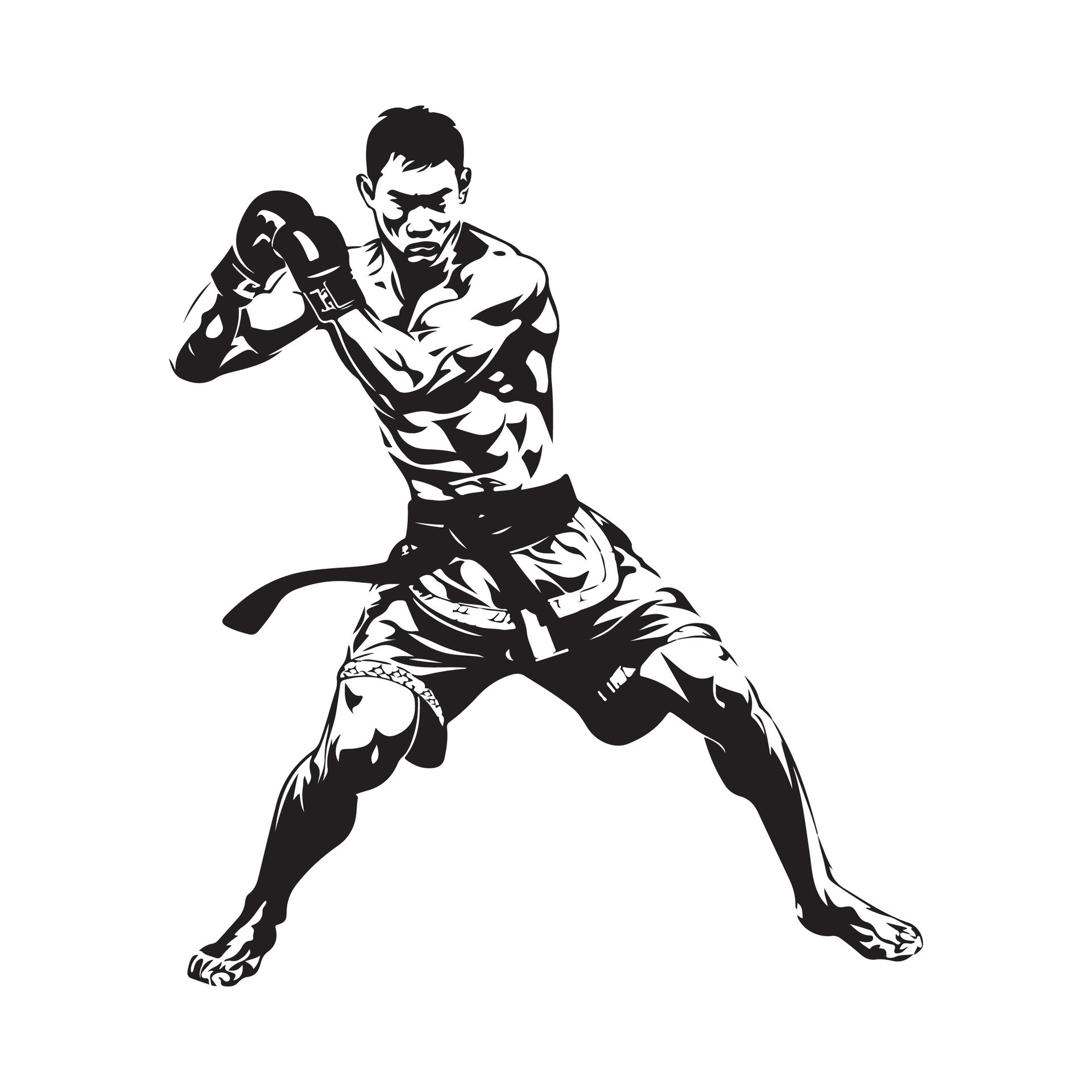 Muay Thai Fighter In Fight Pose Tai Boxing Stock Imag 49887100 Vector Art At Vecteezy
