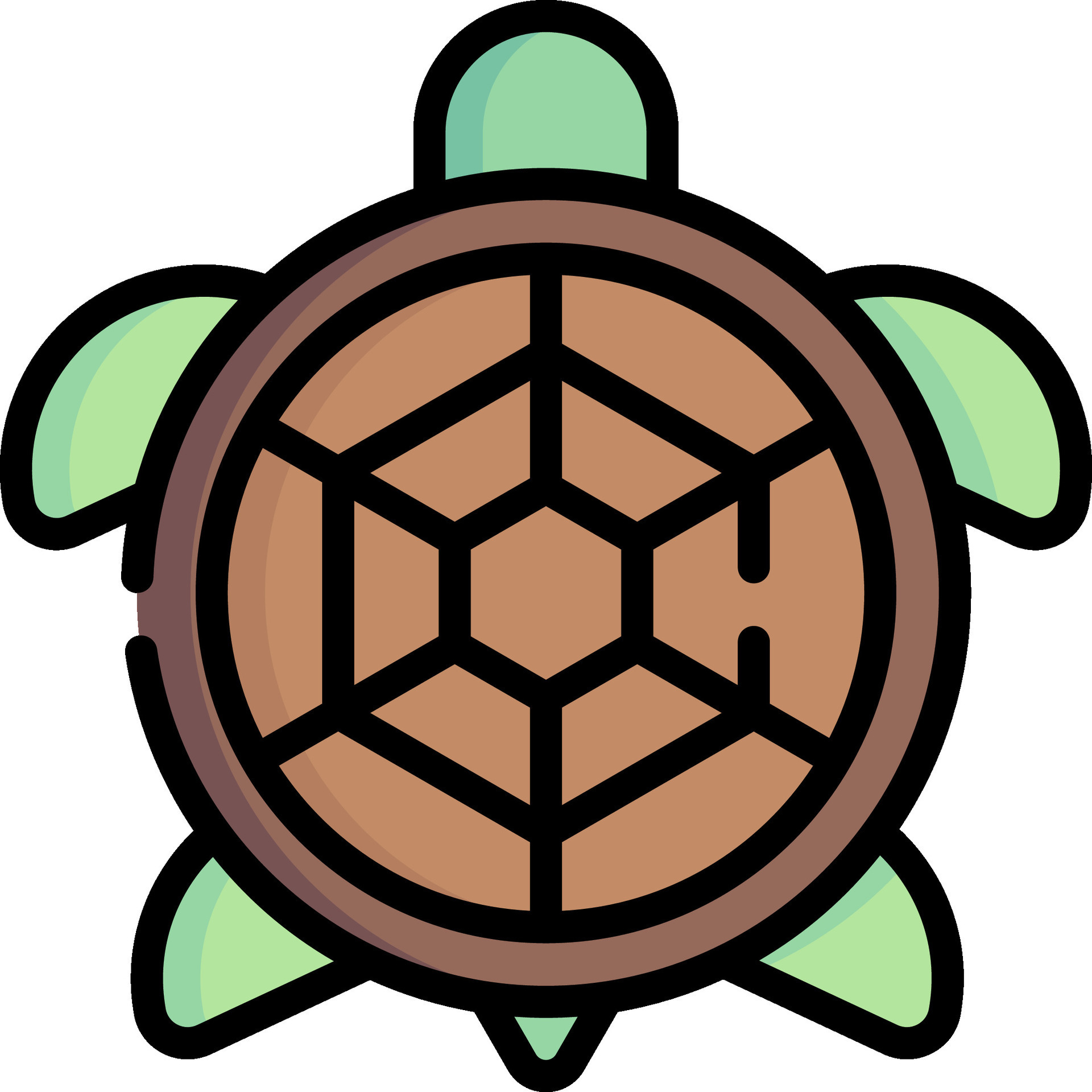 turtle illustration design 49926795 Vector Art at Vecteezy