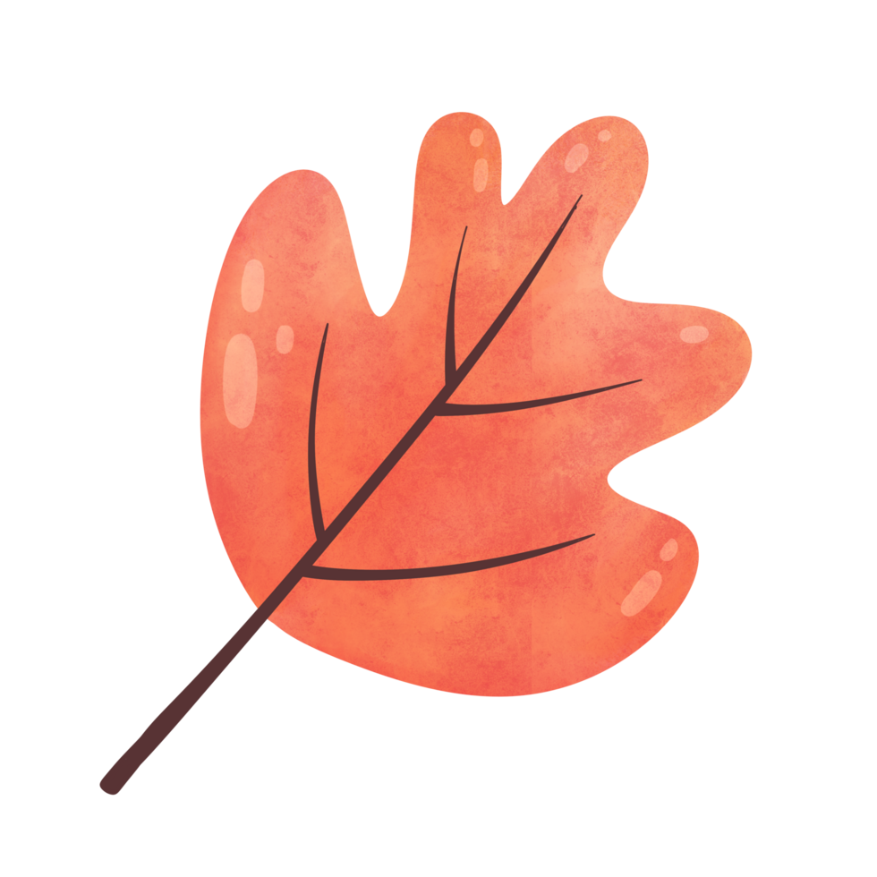 Red Oak Leaf 49998746 Png