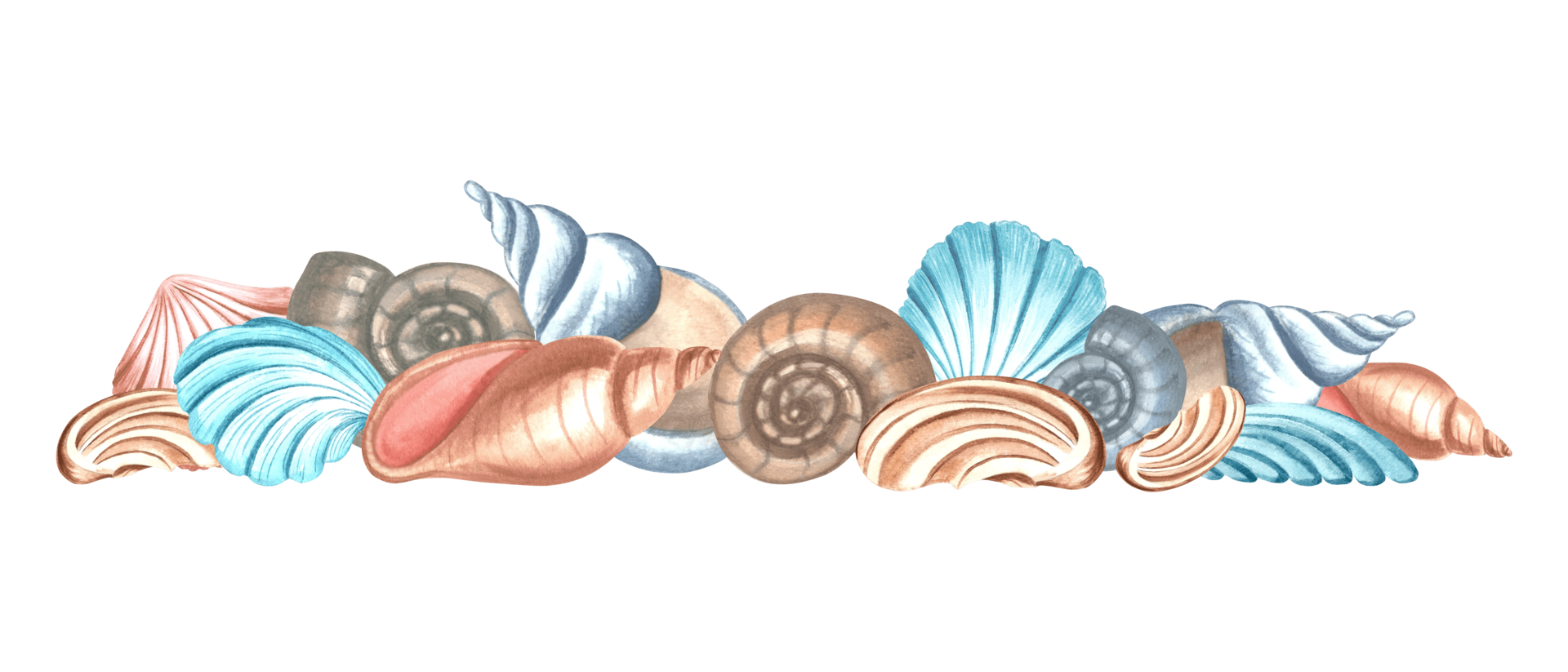 Meer Muscheln Hand gezeichnet Aquarell Illustration isoliert. unter Wasser ozeanisch ...