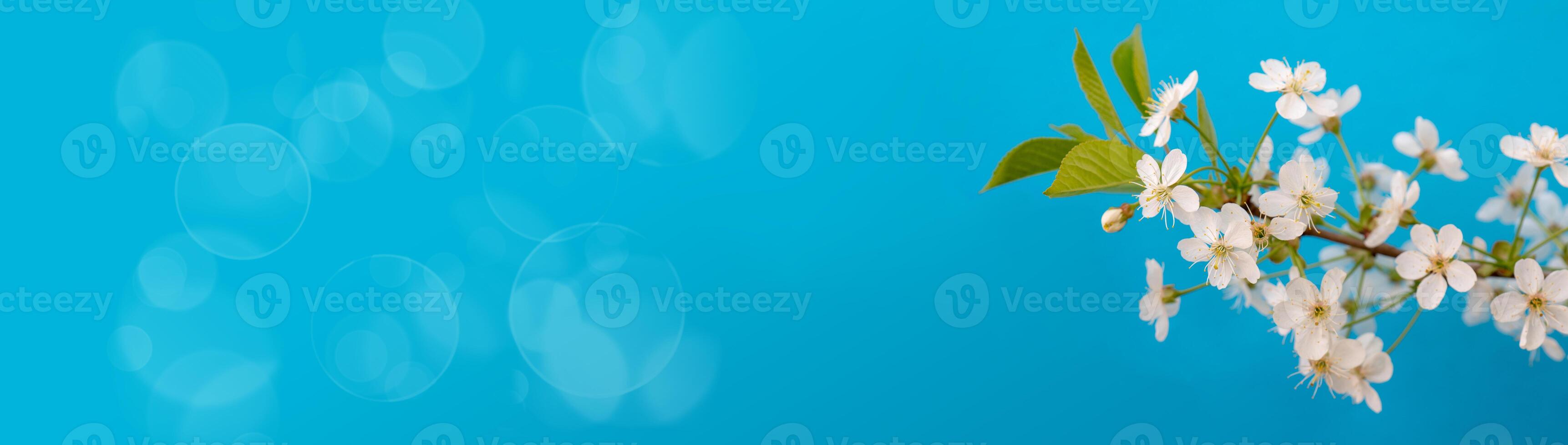 Linkedin Background Stock Photos, Images and Backgrounds for Free Download