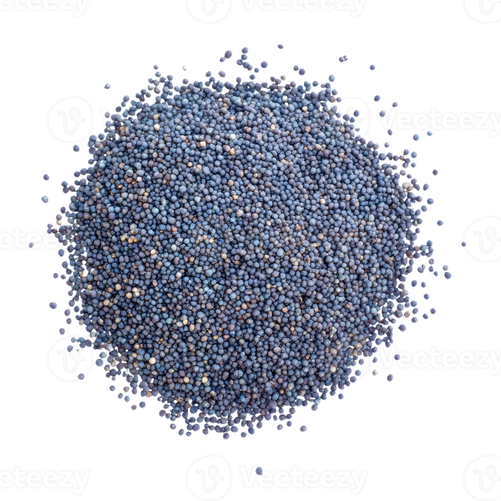 A Pile Of Black Mustard Seeds Against A Black Background The Seeds Are Small And Round With A
