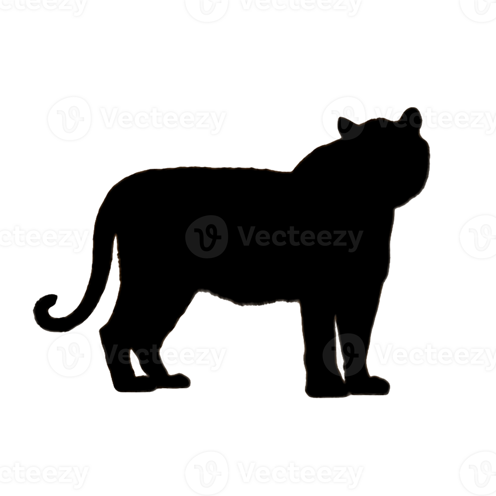 Tiger Illustration - Tiger Silhouette - Tiger Icon 50086203 PNG