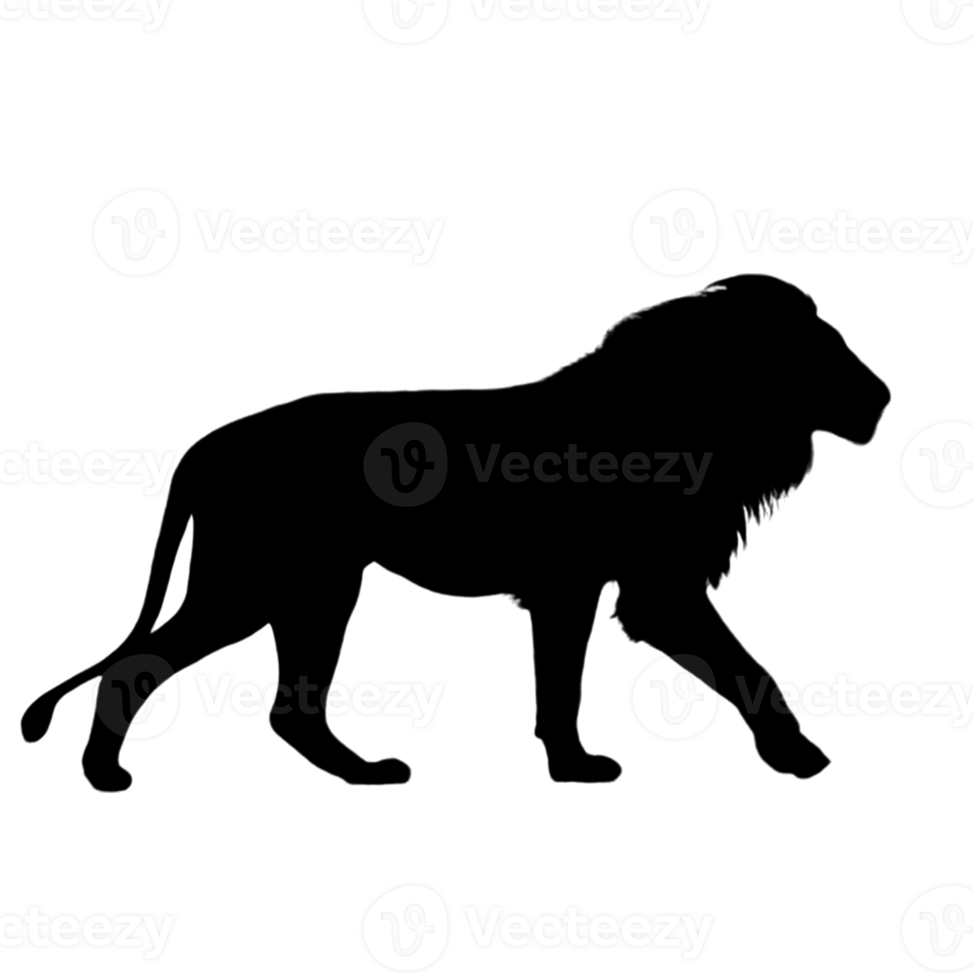 Lion Illustration - Lion Drawing - Lion Icon 50086210 PNG