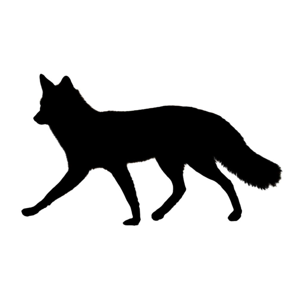 Fox Outline PNGs for Free Download