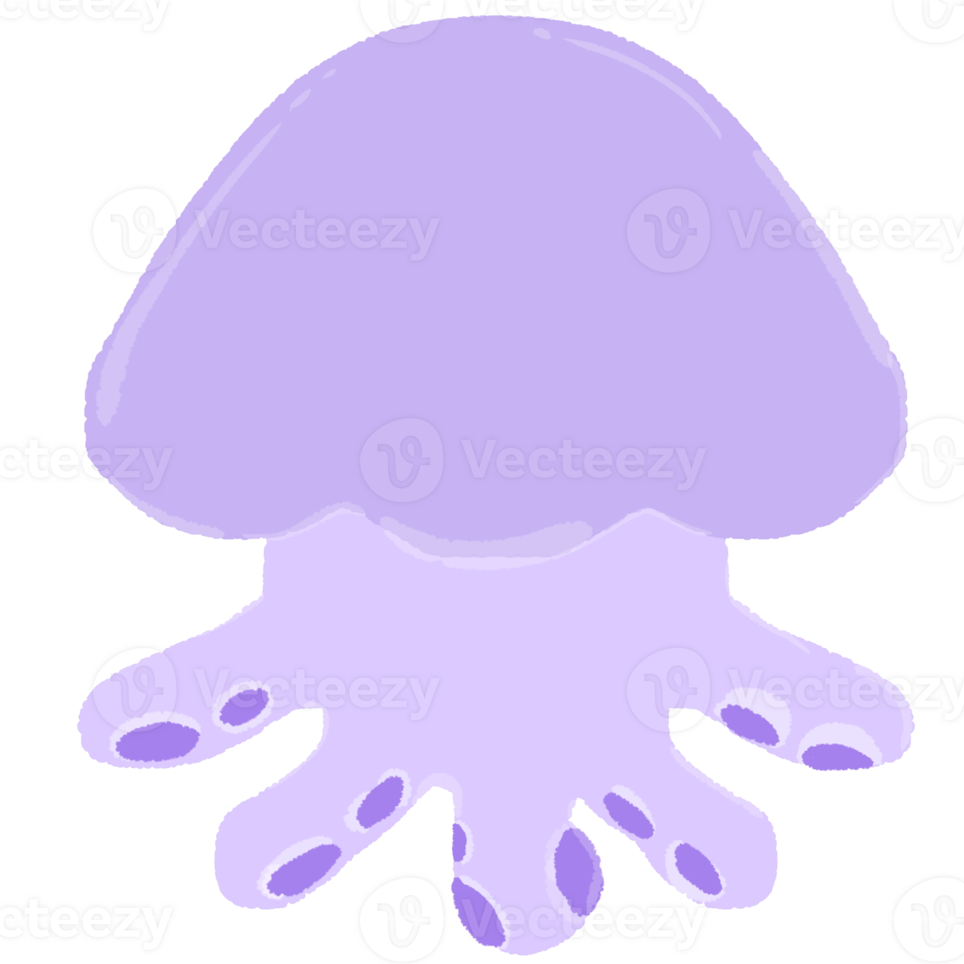 Squid, sea squid 50086526 PNG