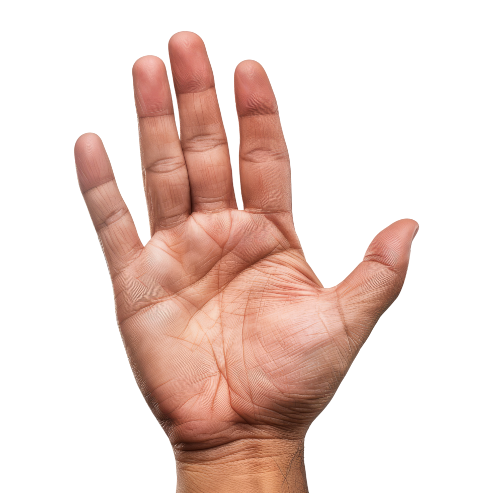 Open Hand Png Open Hands Gesture Open Hands Gesture Illustration