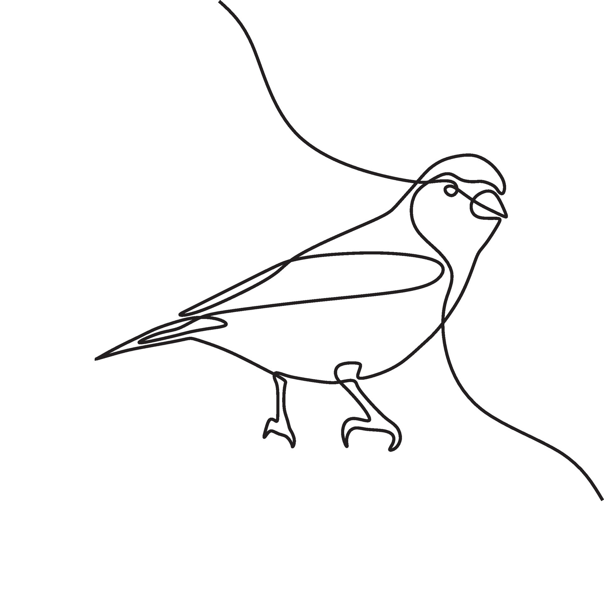 A line drawing of a bird on a branch 50124742 Vector Art at Vecteezy