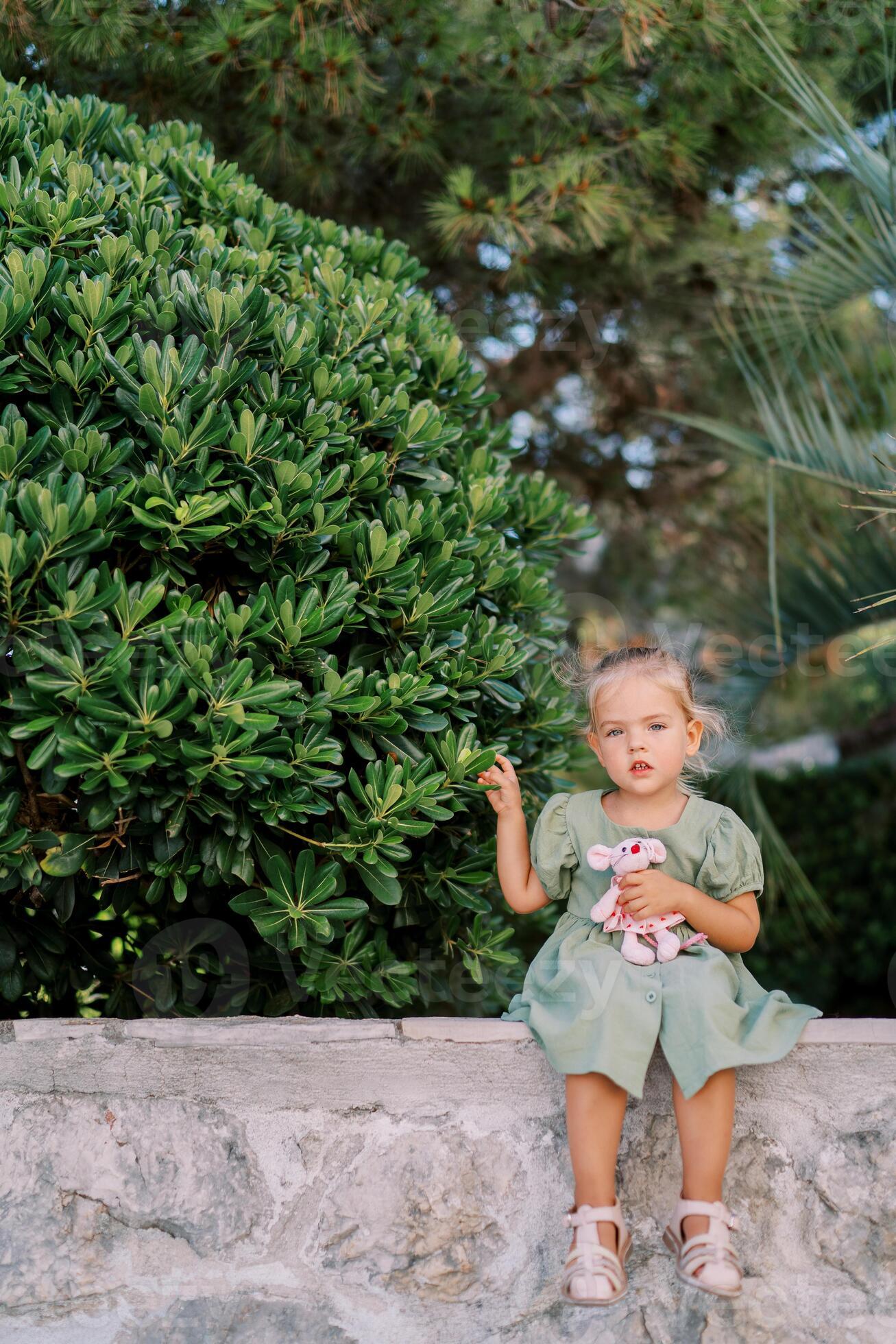 Little girl sits on a stone fence touching a green bush and hugging a pink toy mouse 50136902 ...