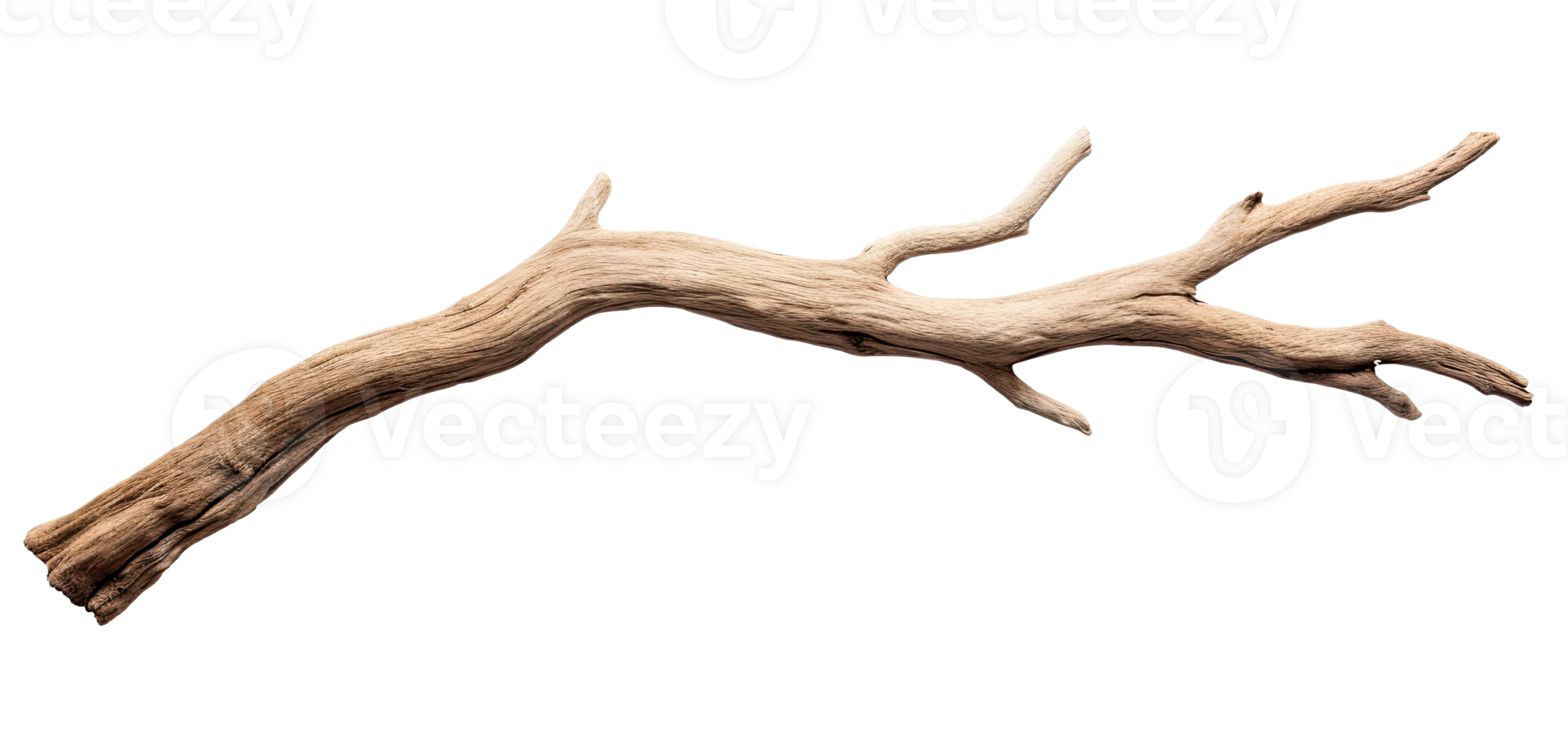 Dry Branch Cut Out 50224162 PNG Dry Branch Cut Out 50224162 PNG