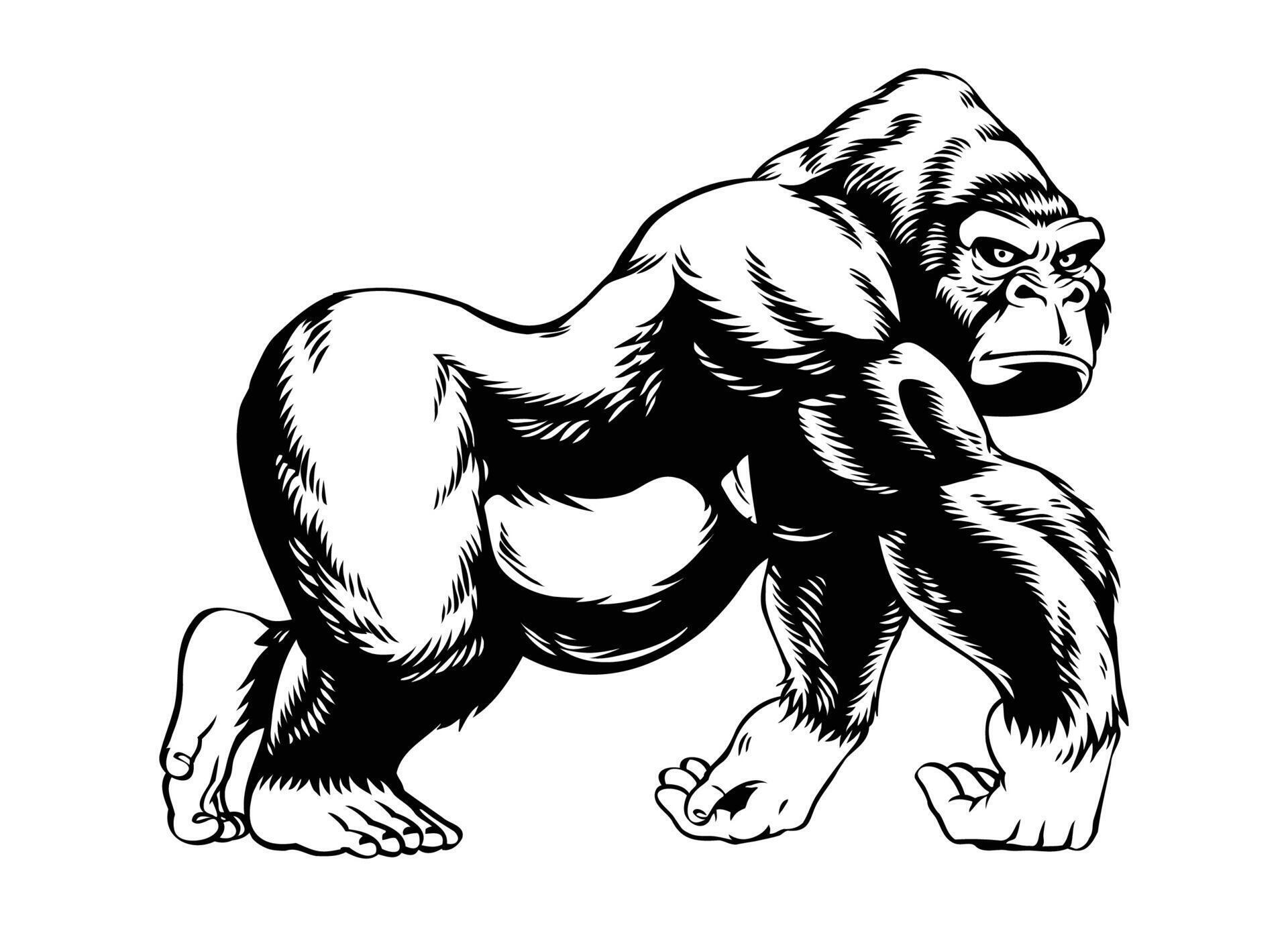 Black and White Illustration of Big Gorilla 50244249 Vector Art at Vecteezy