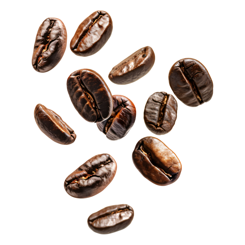 flotador mosca café frijoles que cae aislado en transparente ...