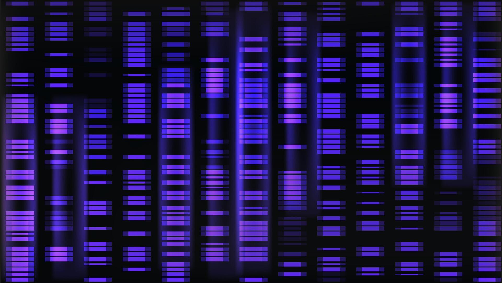 Dna sequence data map. Chromosome gene pattern visualization for ...