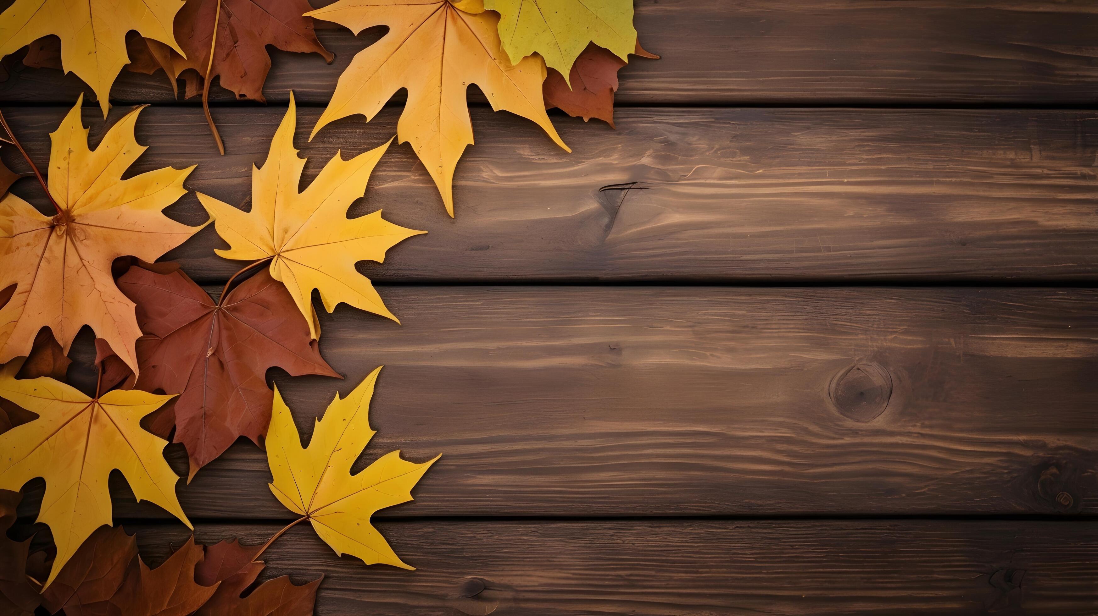 Colorful Autumn Fall Maple Leaves 50485832 Stock Photo at Vecteezy