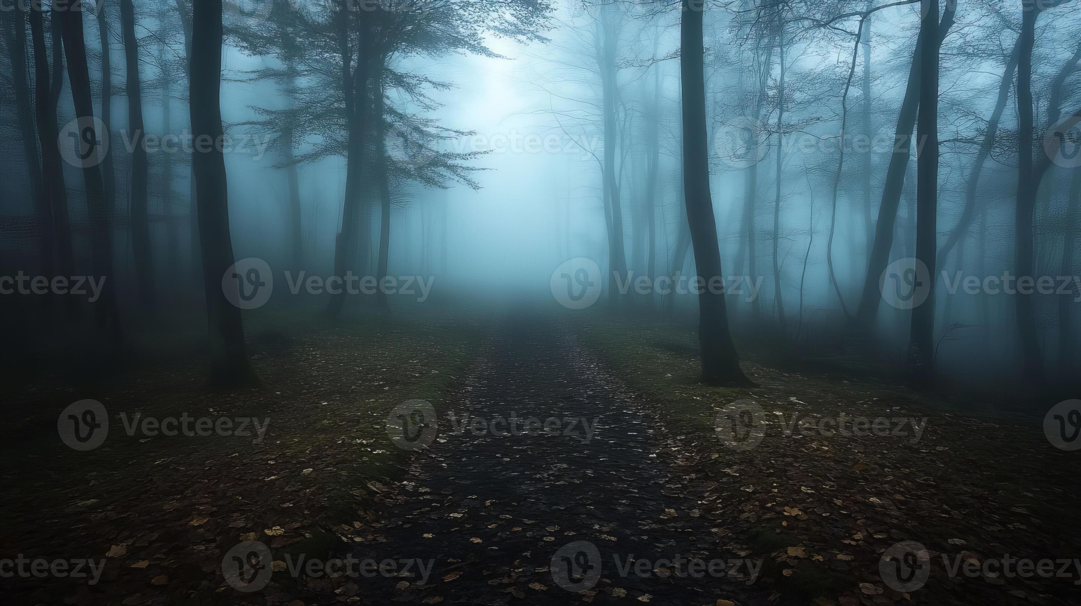 Mysterious Path Through Foggy Forest 50531950 Stock Photo at Vecteezy Mysterious Path Through Foggy Forest 50531950 Stock Photo at Vecteezy