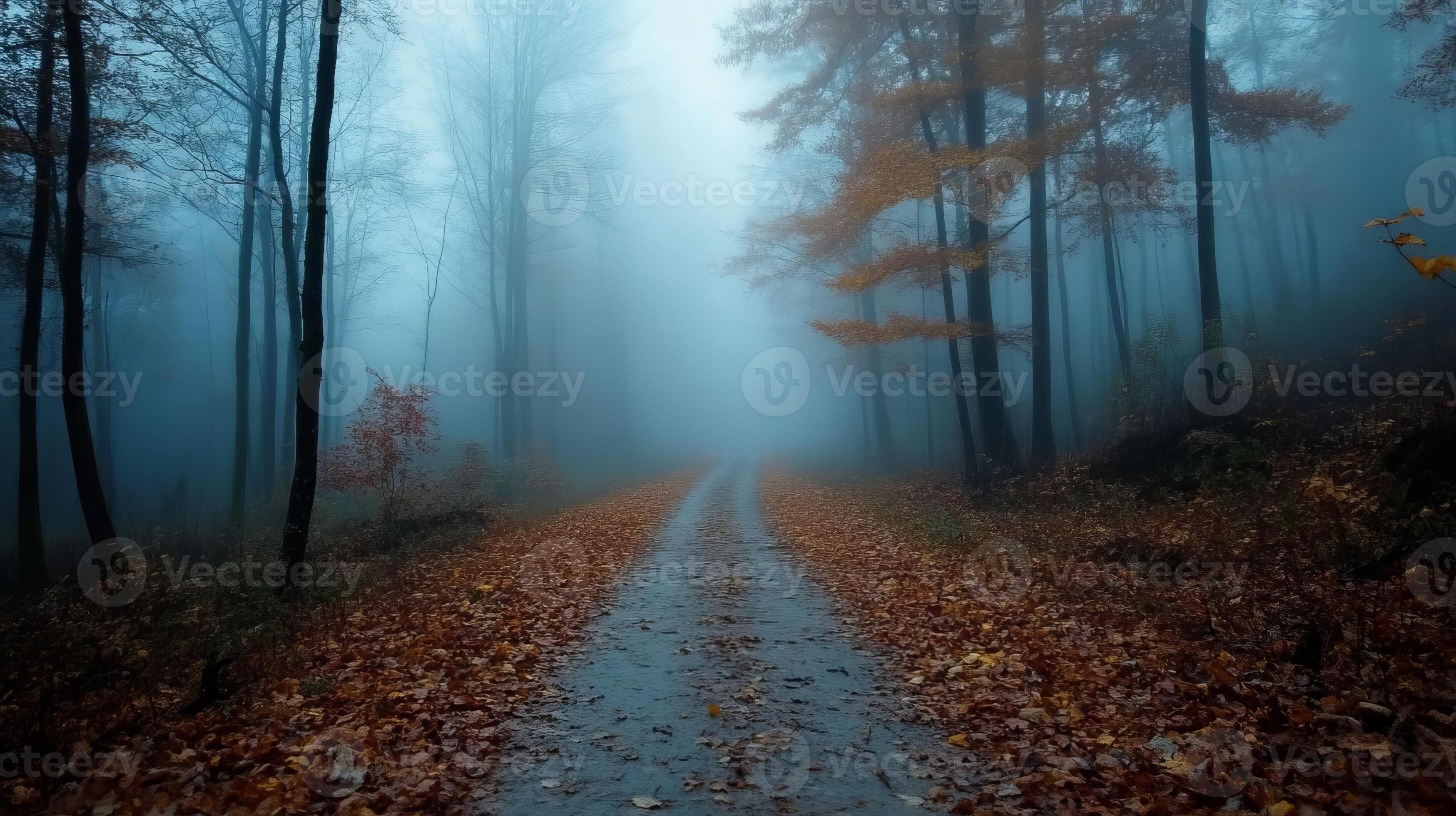 Mysterious Foggy Forest Path with Autumn Leaves 50531952 Stock Photo at ...