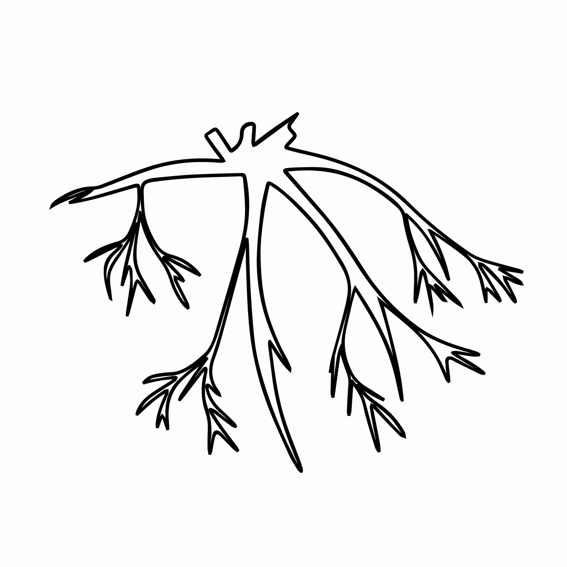 Illustration depicts a mixed root system with branching patterns ...