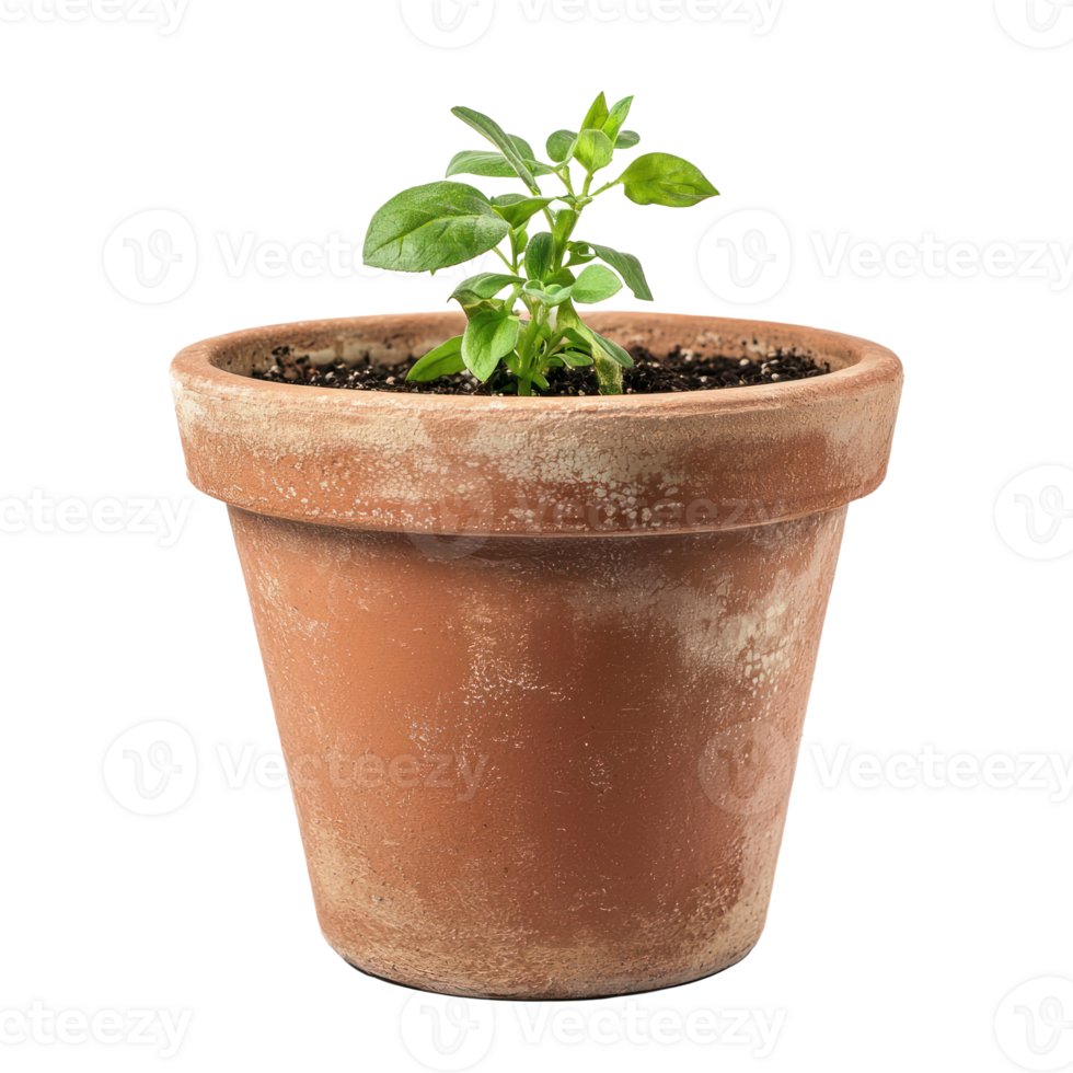 Empty flower pot front view isolate on transparency background 50594640 PNG Empty flower pot front view isolate on transparency background 50594640 PNG