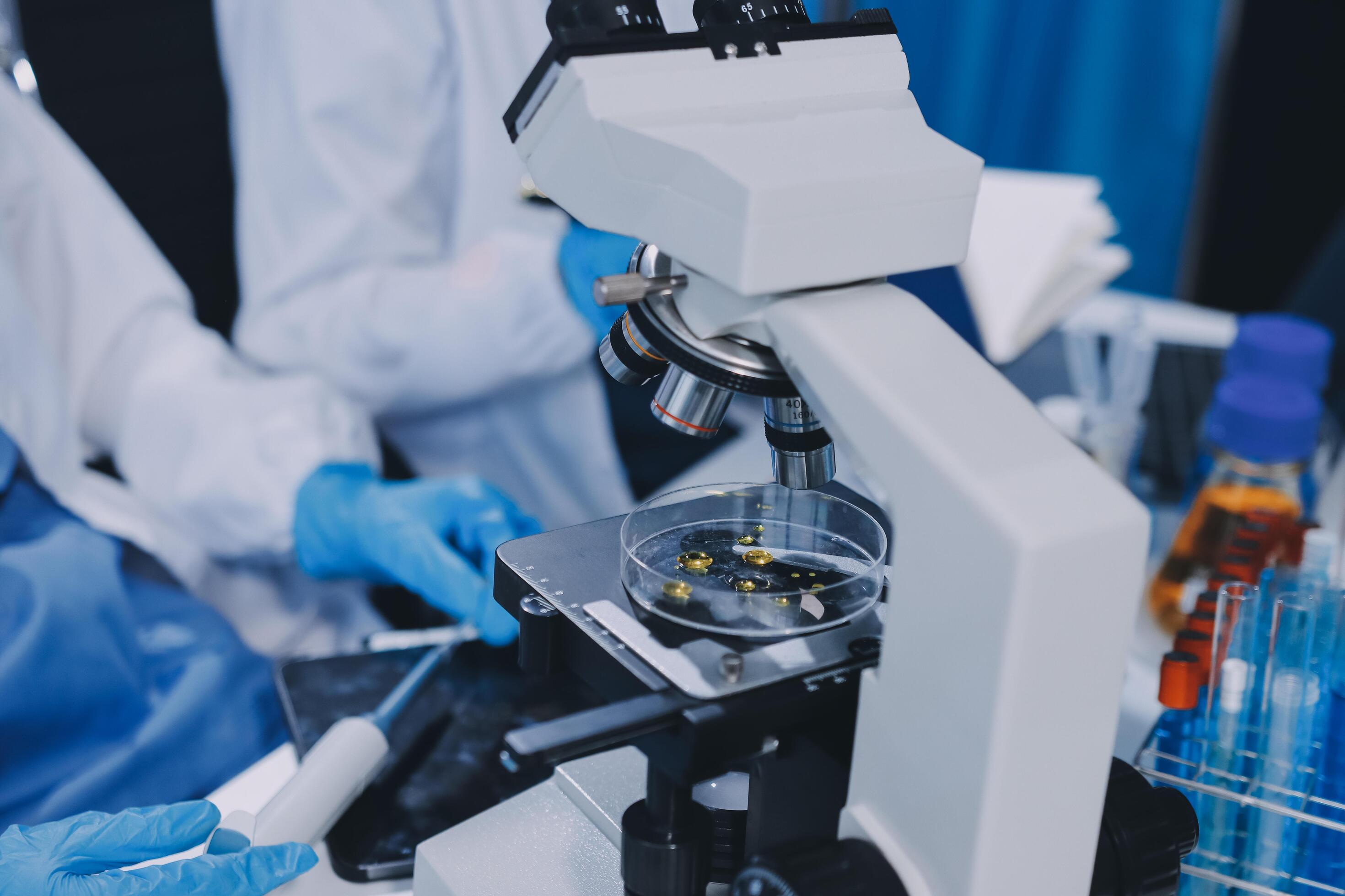 Scientist using microscope in laboratory. Close-up of a researcher's hands adjusting a modern ...