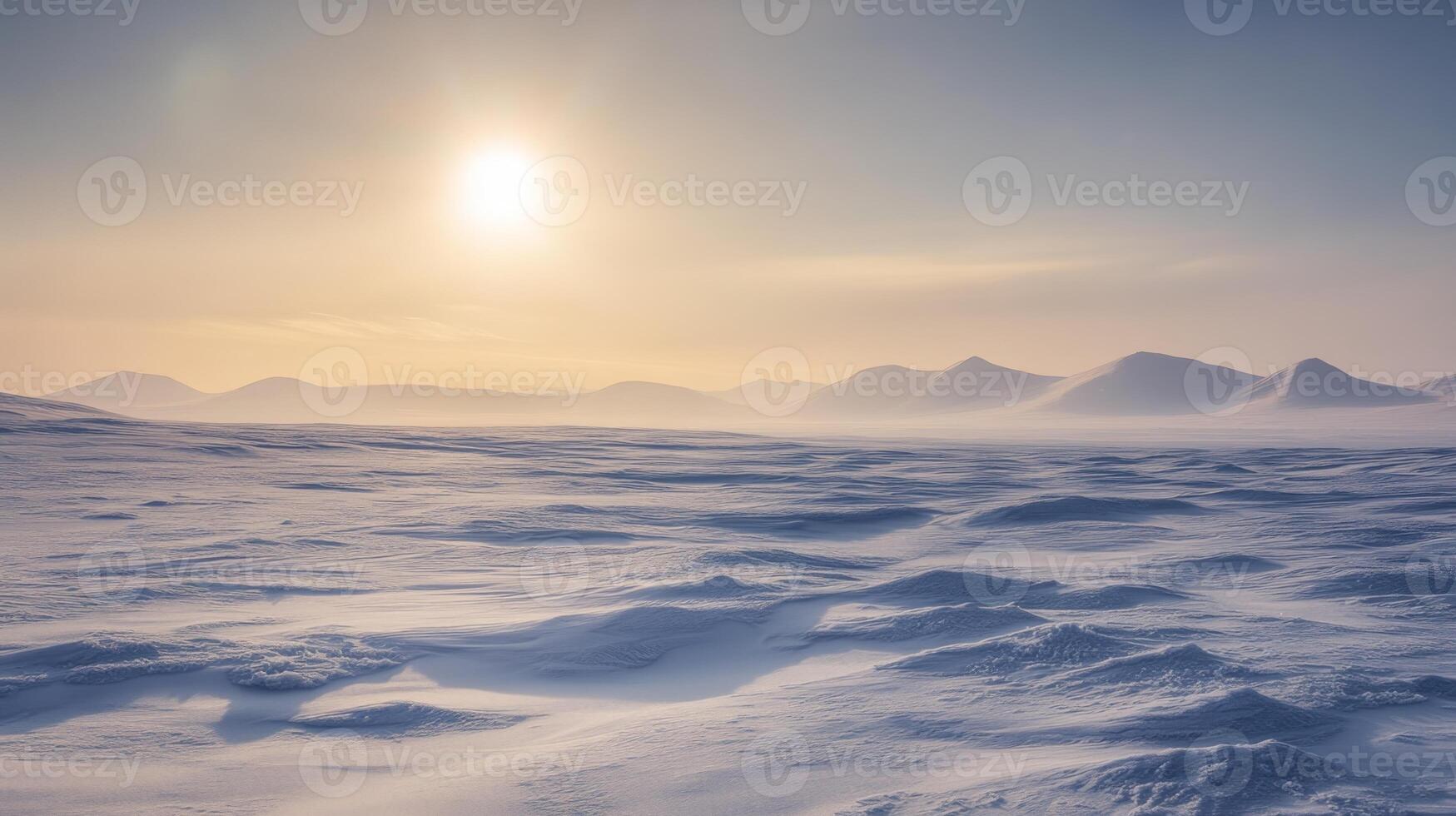 Tundra Winter Stock Photos, Images and Backgrounds for Free Download