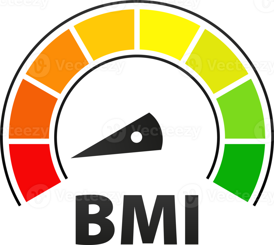 Bmi Or Body Mass Index Level Understanding And Managing Your Body Mass