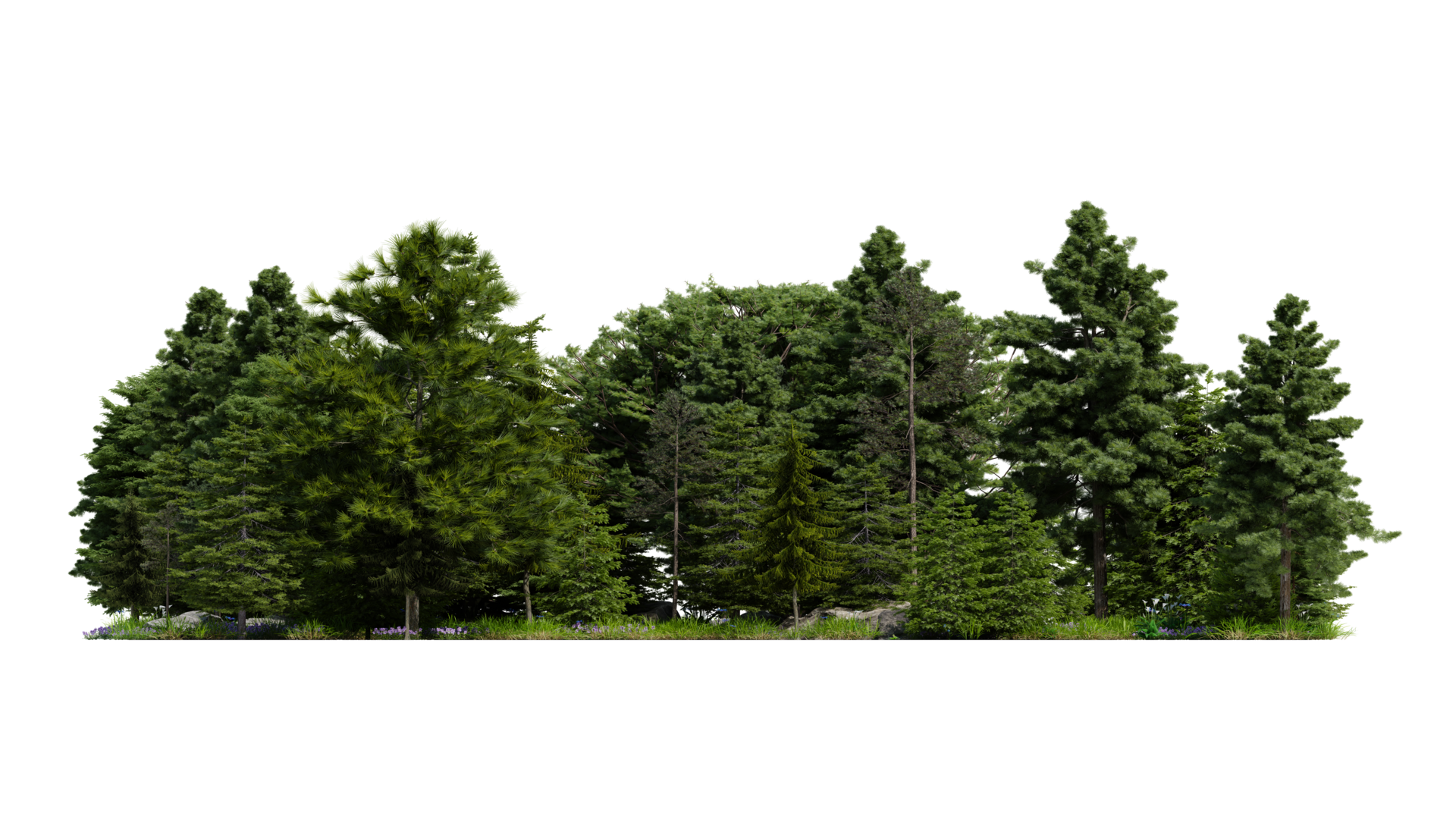 thick forest tree transparent background, 3d render flat ground view 50739202 PNG