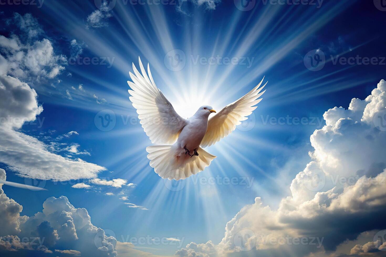 Images Of Doves As The Holy Spirit