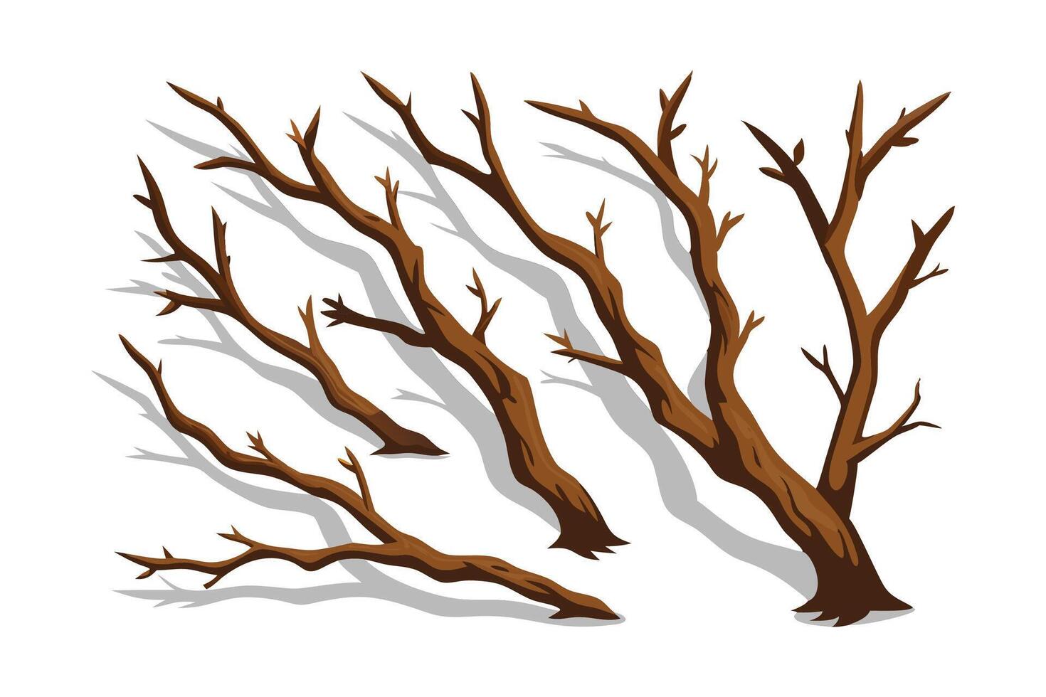 Realistic tree branches shadow flat illustration set white background ... Realistic tree branches shadow flat illustration set white background ...