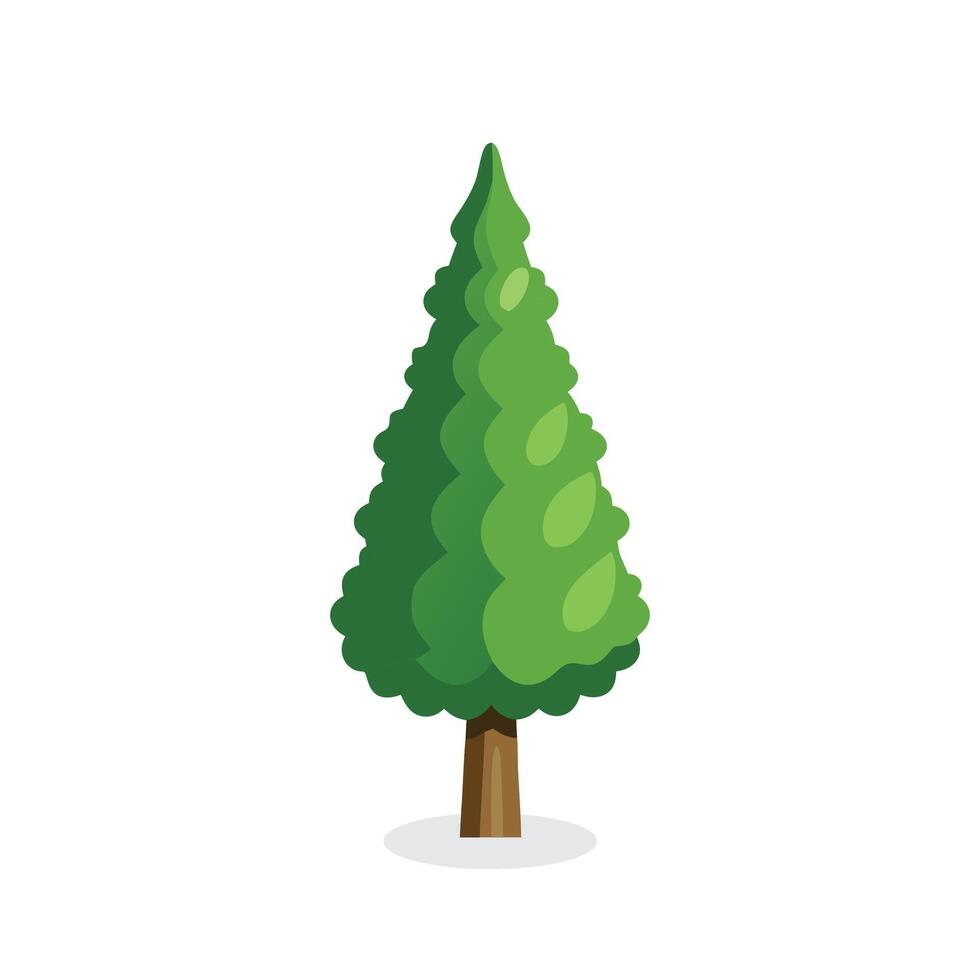 Cypress tree isolated flat illustration on white background. 50764252 ...