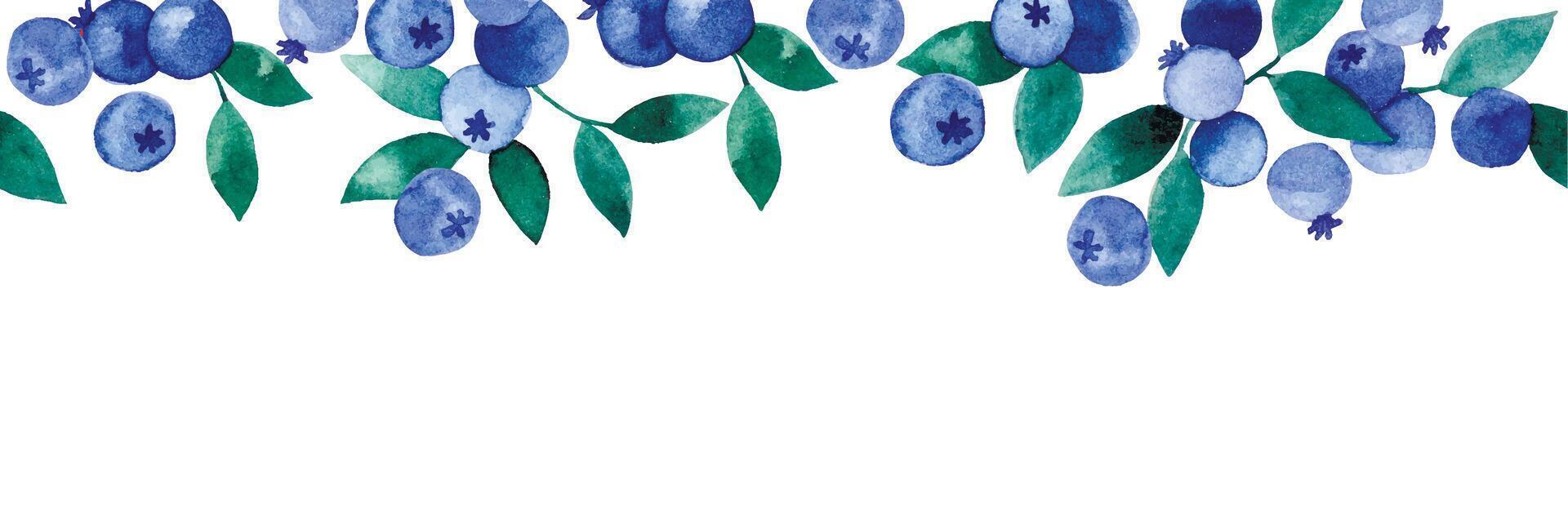 watercolor seamless border with blueberries. illustration in simple ...