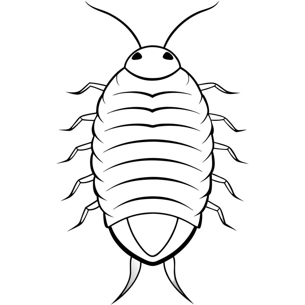 Realistic Isopod From Top Illustration Line Art 50812939 Vector Art At Vecteezy