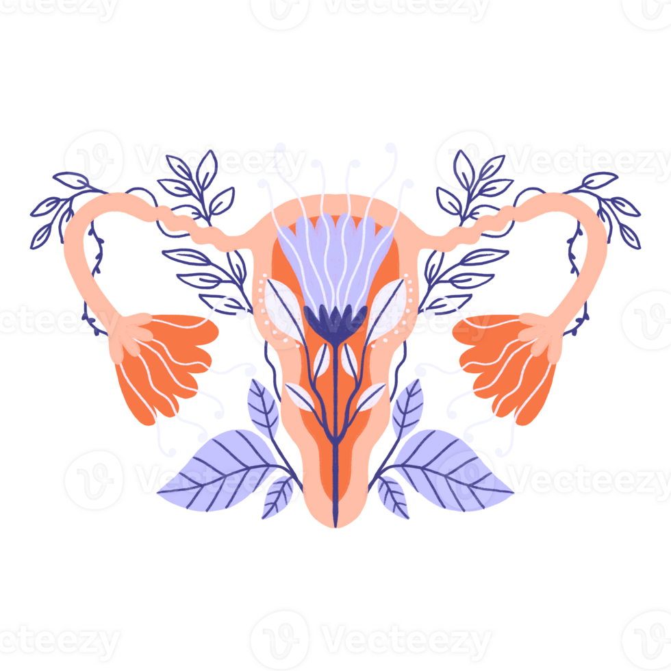 Female Reproductive System With Blossoming Flowers Bouquet Hand Drawn