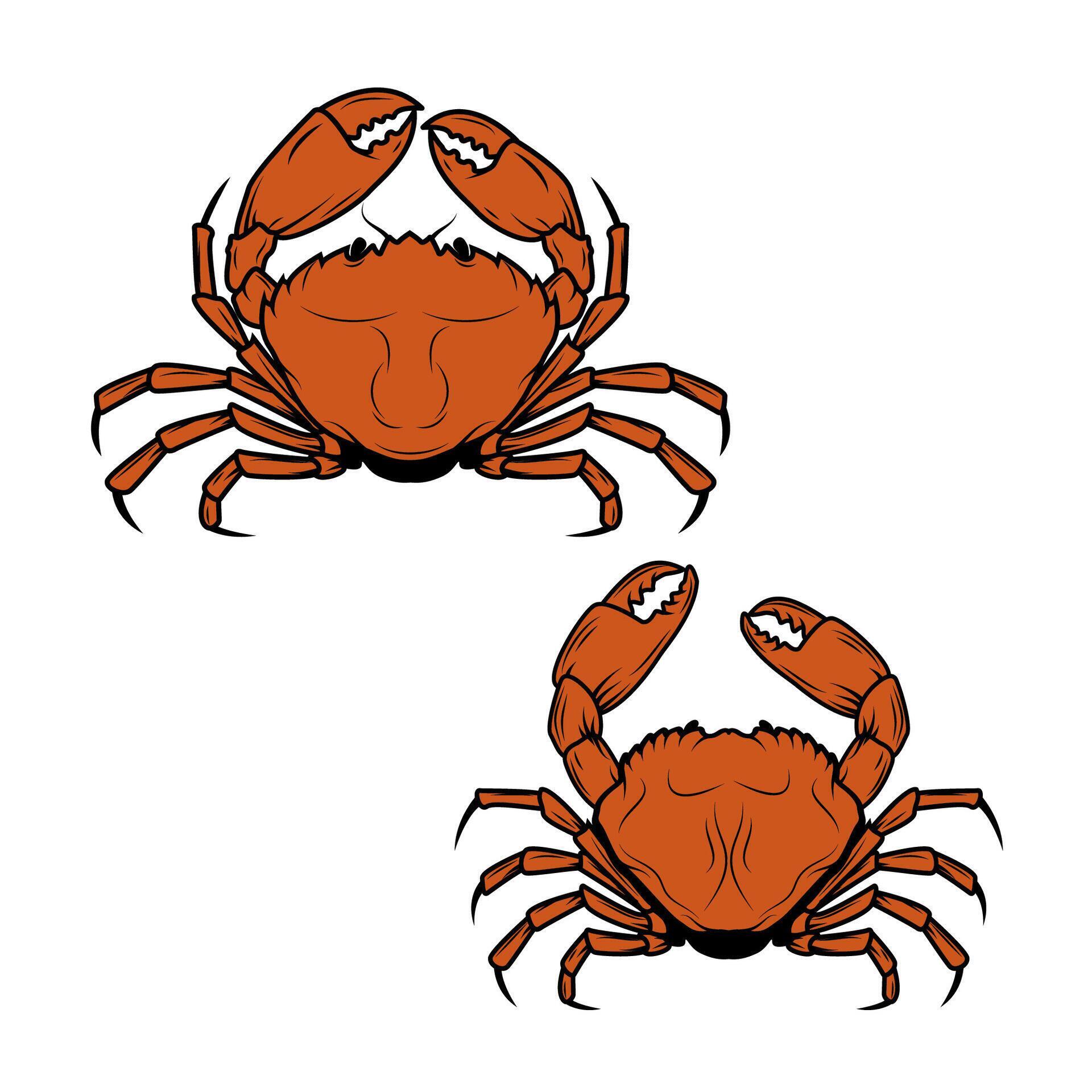 Set of the crabs icons in . Crab label. Crabs icons isolated on white ...