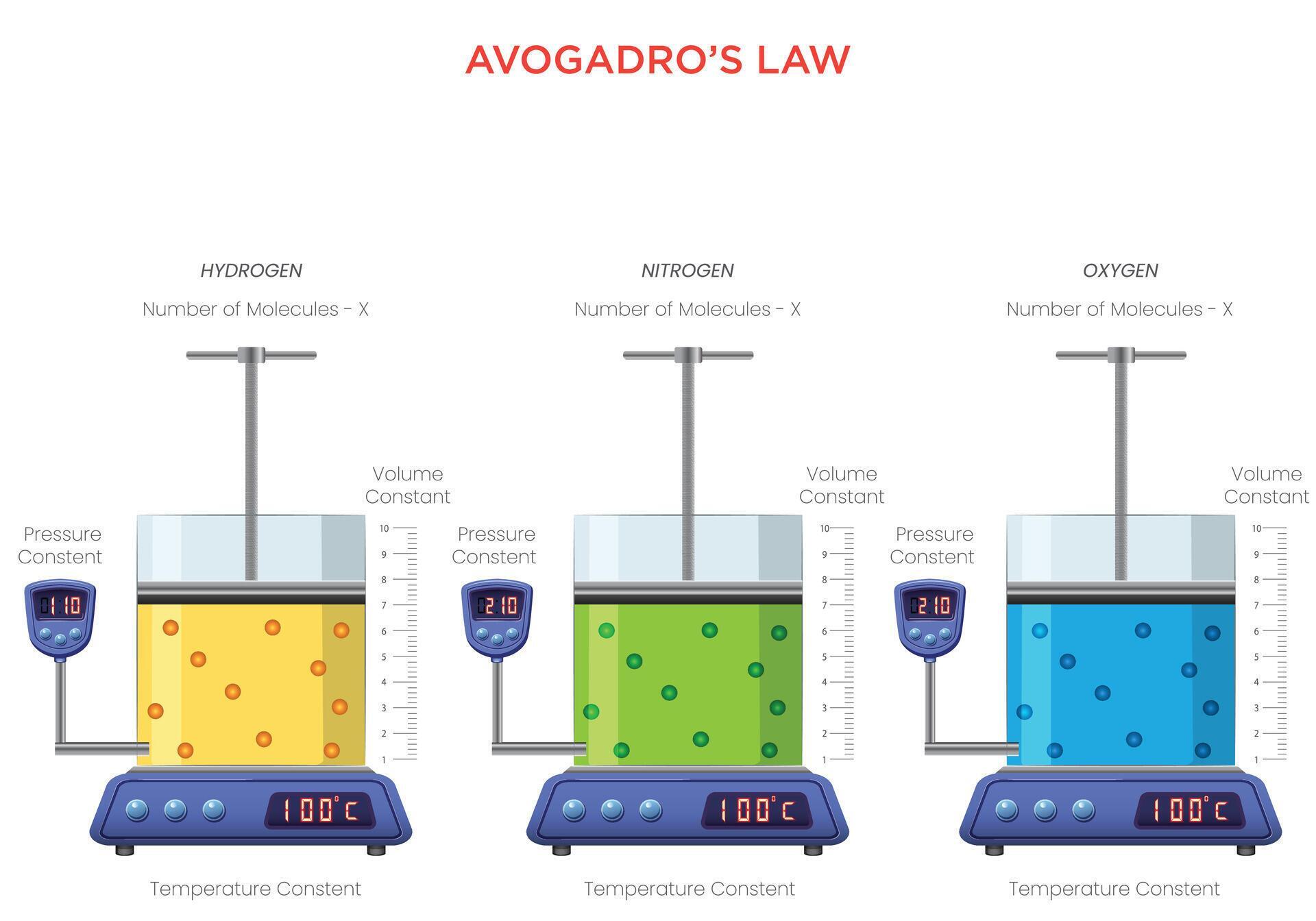 Understanding Avogadro's Law The Relationship Between Gas Volume and Molecules 50889490 Vector ...
