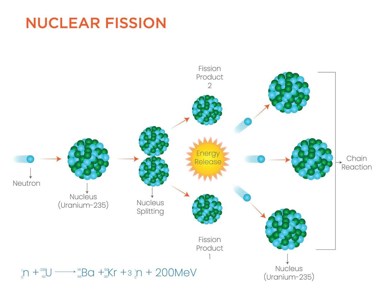 Understanding Nuclear Fission The Process of Splitting Atomic Nuclei for Energy 50889492 Vector ...