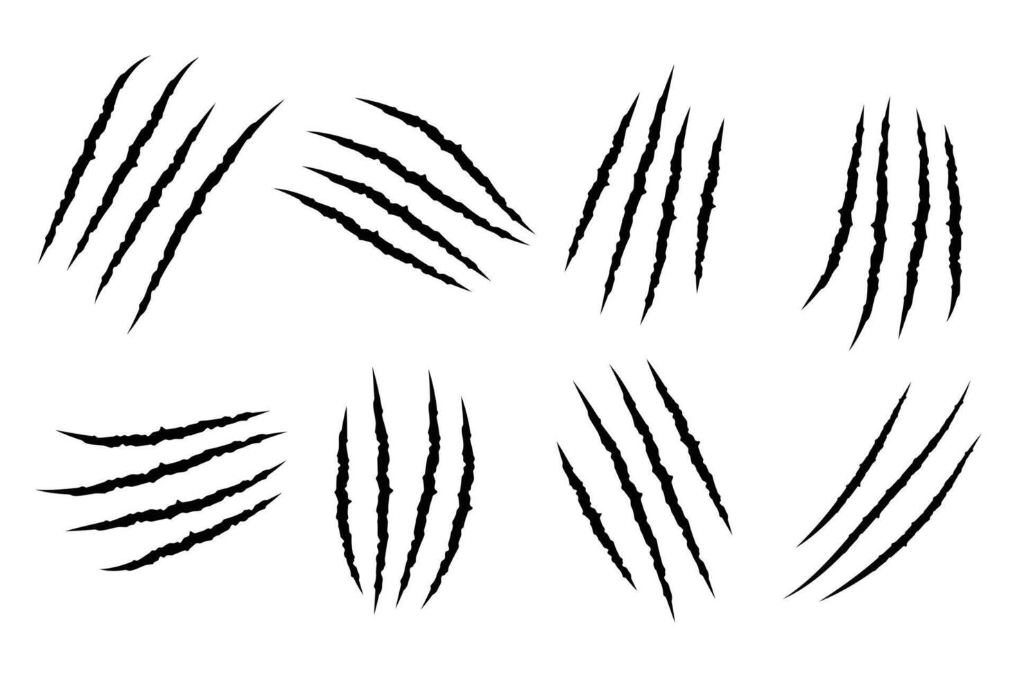 animal claw scratch marks on white background. Cat tiger paw shape ...