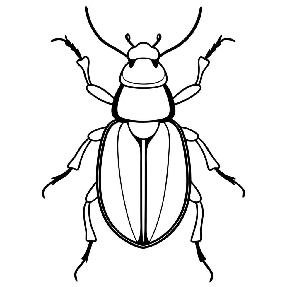 Beetle White Background Illustration Line Art 50986951 Vector Art At Vecteezy