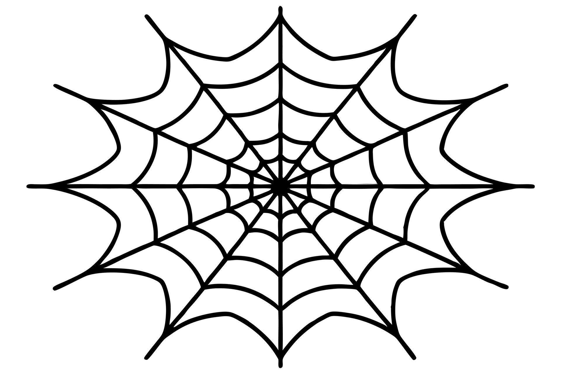 cobweb background with black interwoven threads of a spider, symmetrical pattern spider web ...