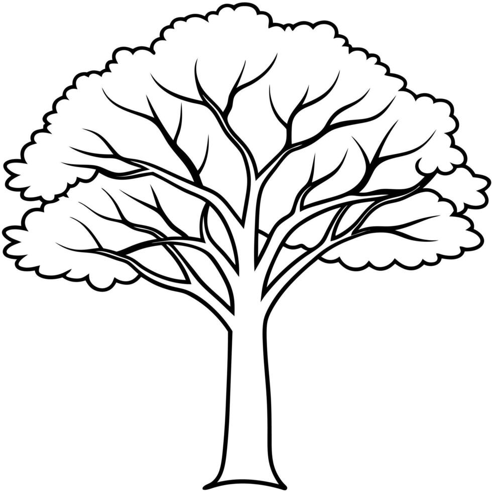 teak tree, illustration line art 50995530 Vector Art at Vecteezy